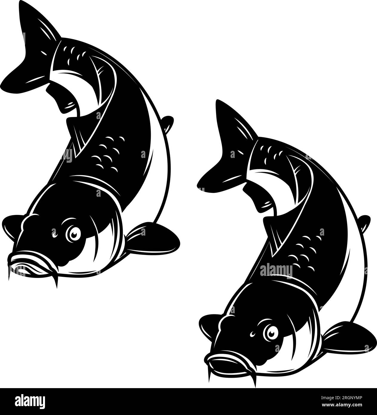 Illustration of carp fish in monochrome style. Carp fish isolated on ...