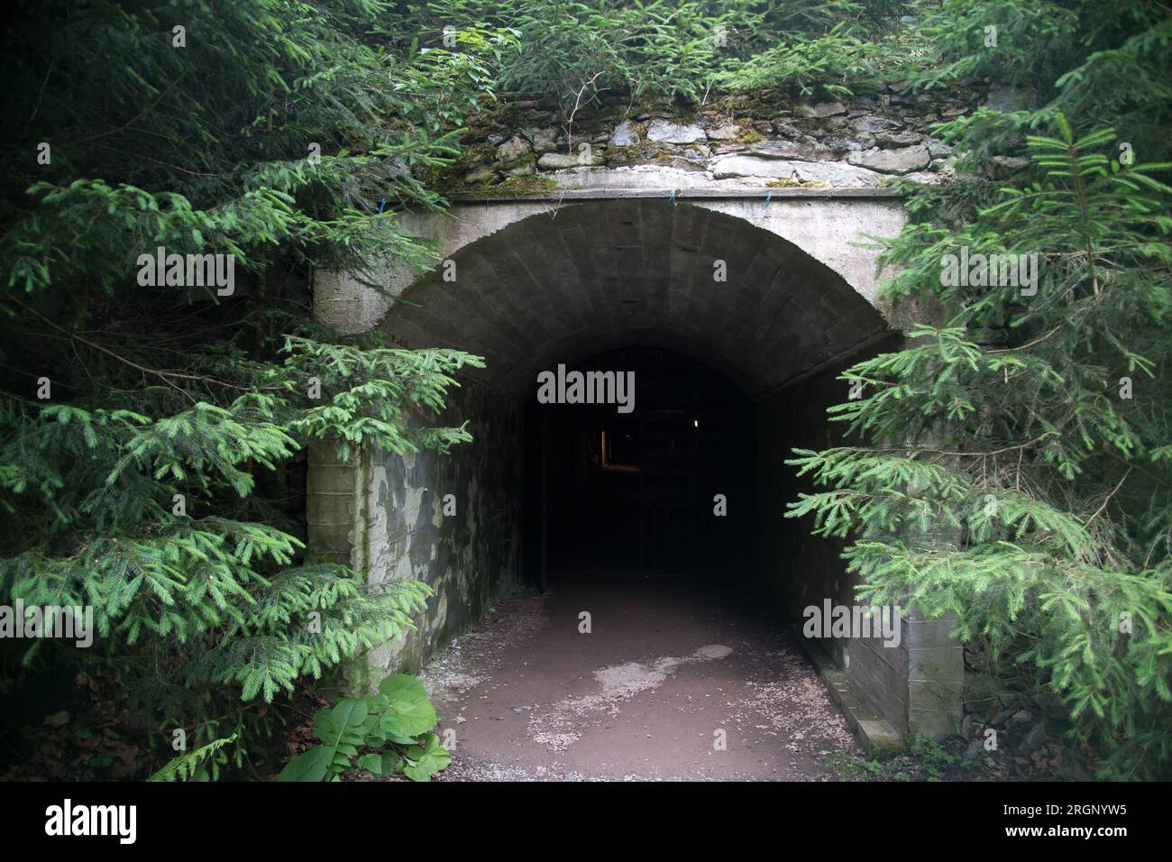 Complex Osowka of Project Riese in Gluszyca, Poland. In 1943 Nazi ...