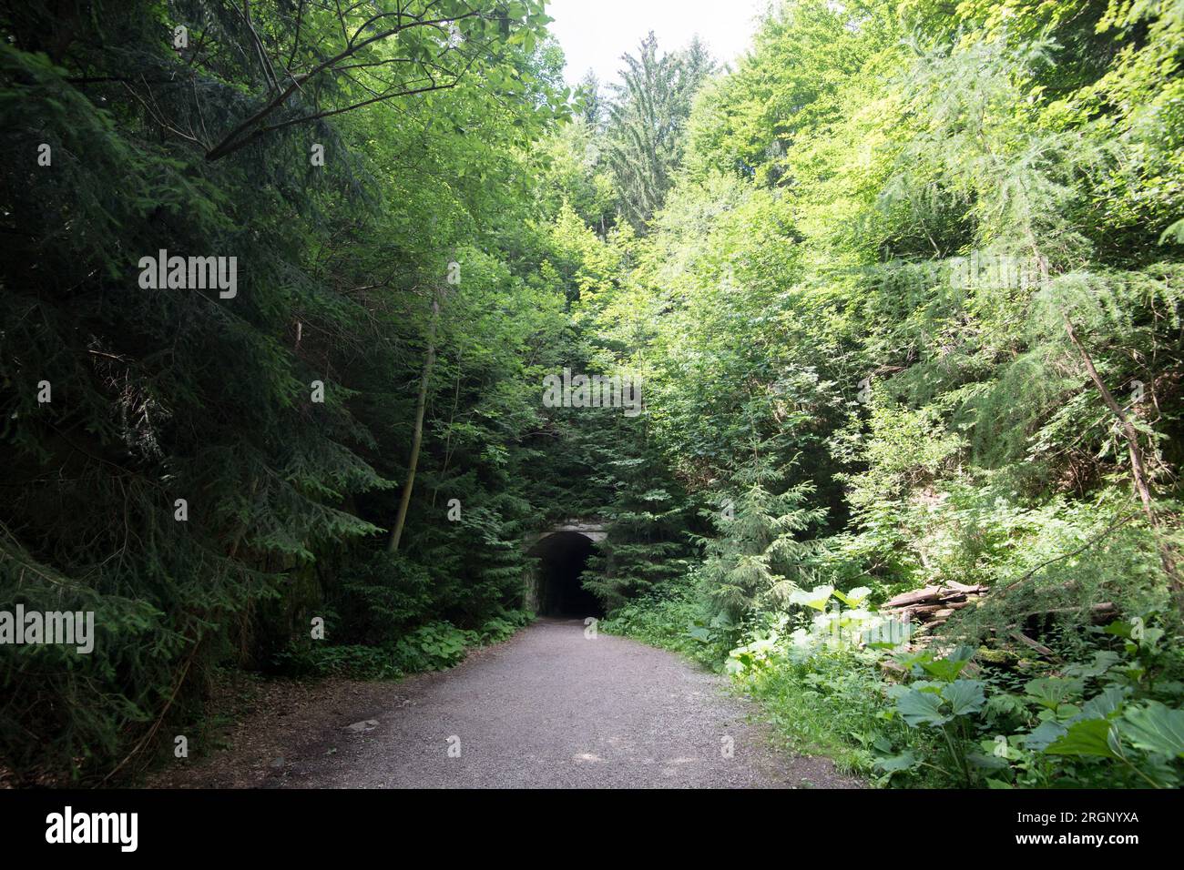 Complex Osowka of Project Riese in Gluszyca, Poland. In 1943 Nazi ...