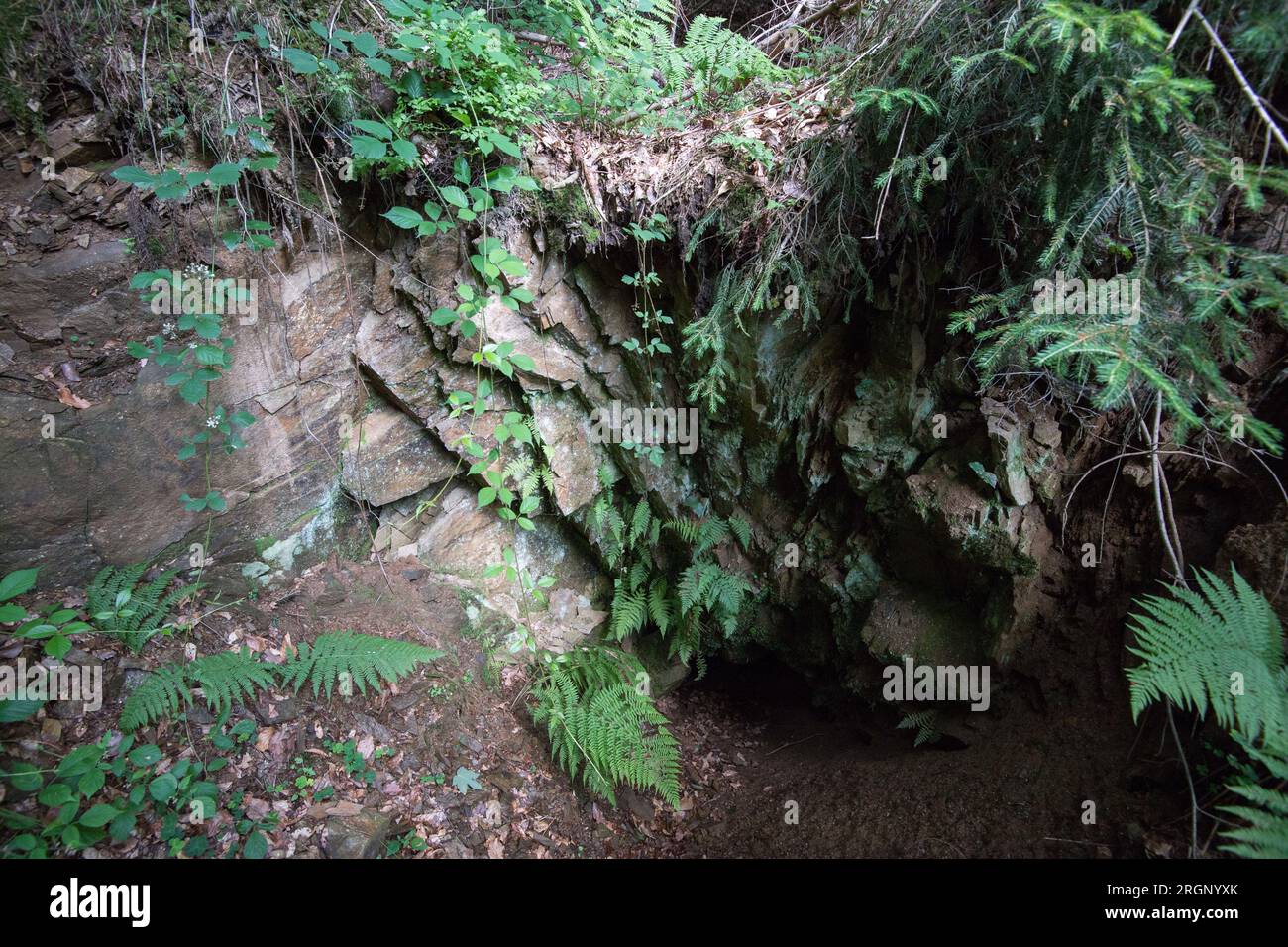 Complex Osowka of Project Riese in Gluszyca, Poland. In 1943 Nazi ...