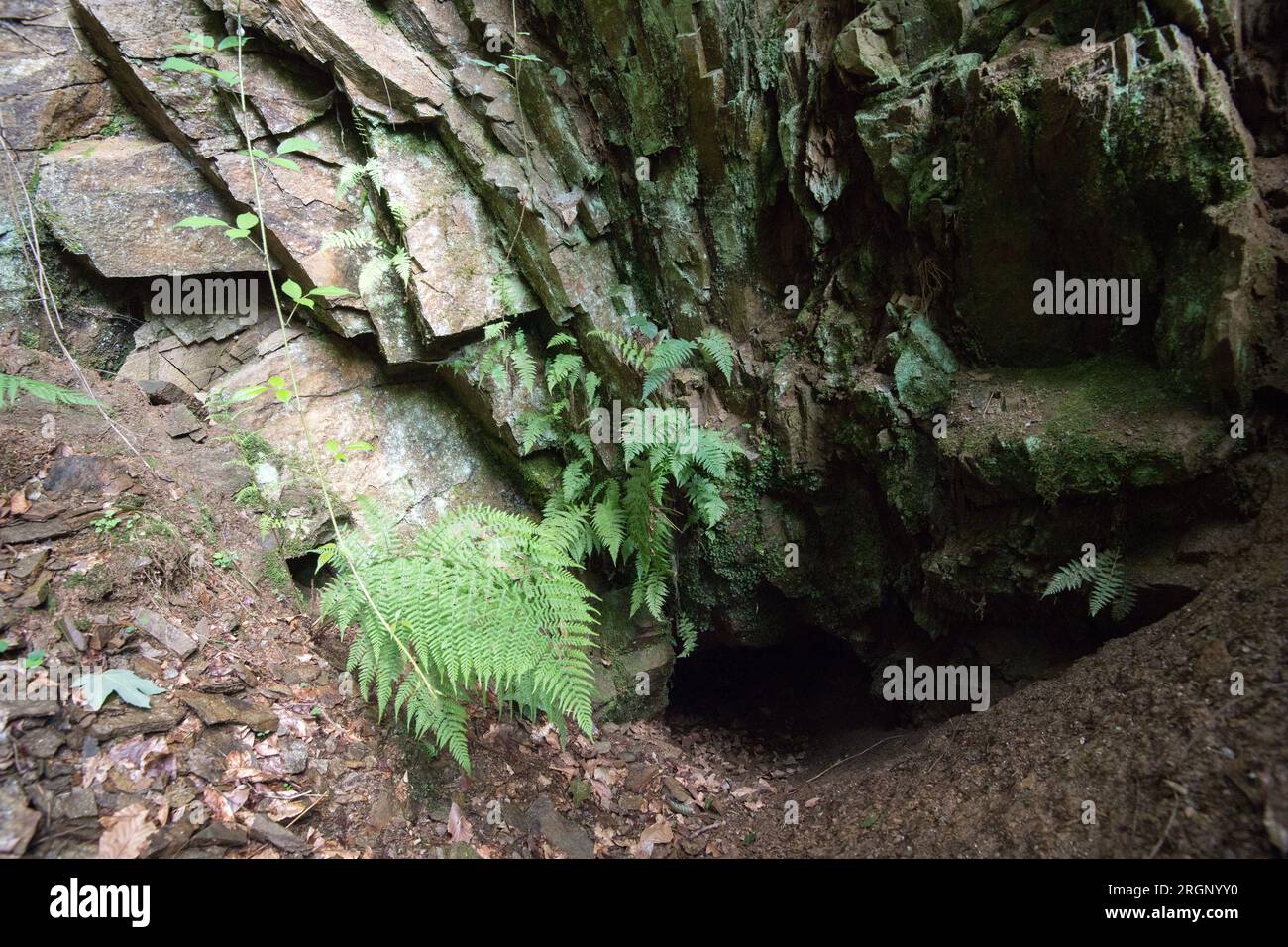 Complex Osowka of Project Riese in Gluszyca, Poland. In 1943 Nazi ...