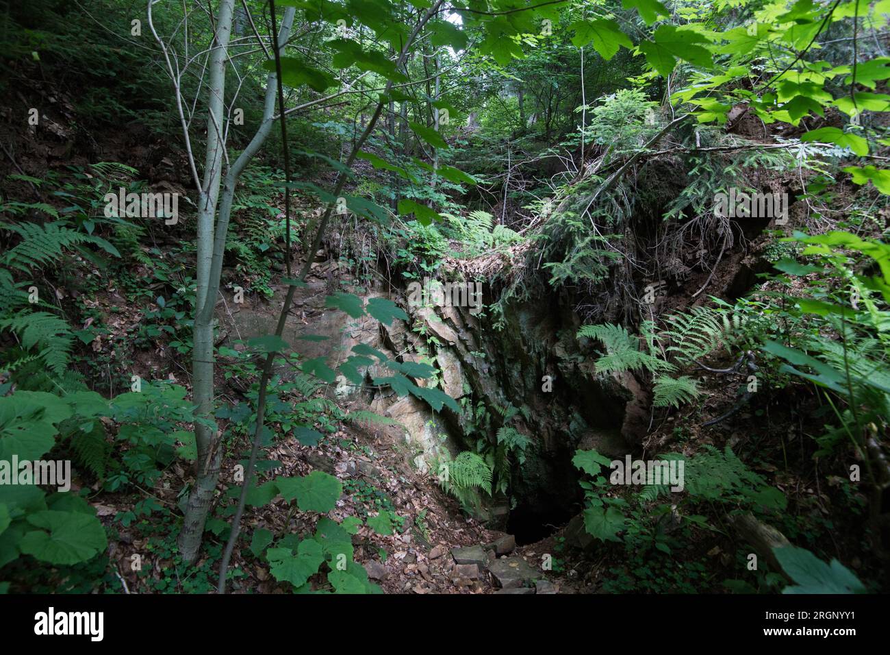 Complex Osowka of Project Riese in Gluszyca, Poland. In 1943 Nazi ...