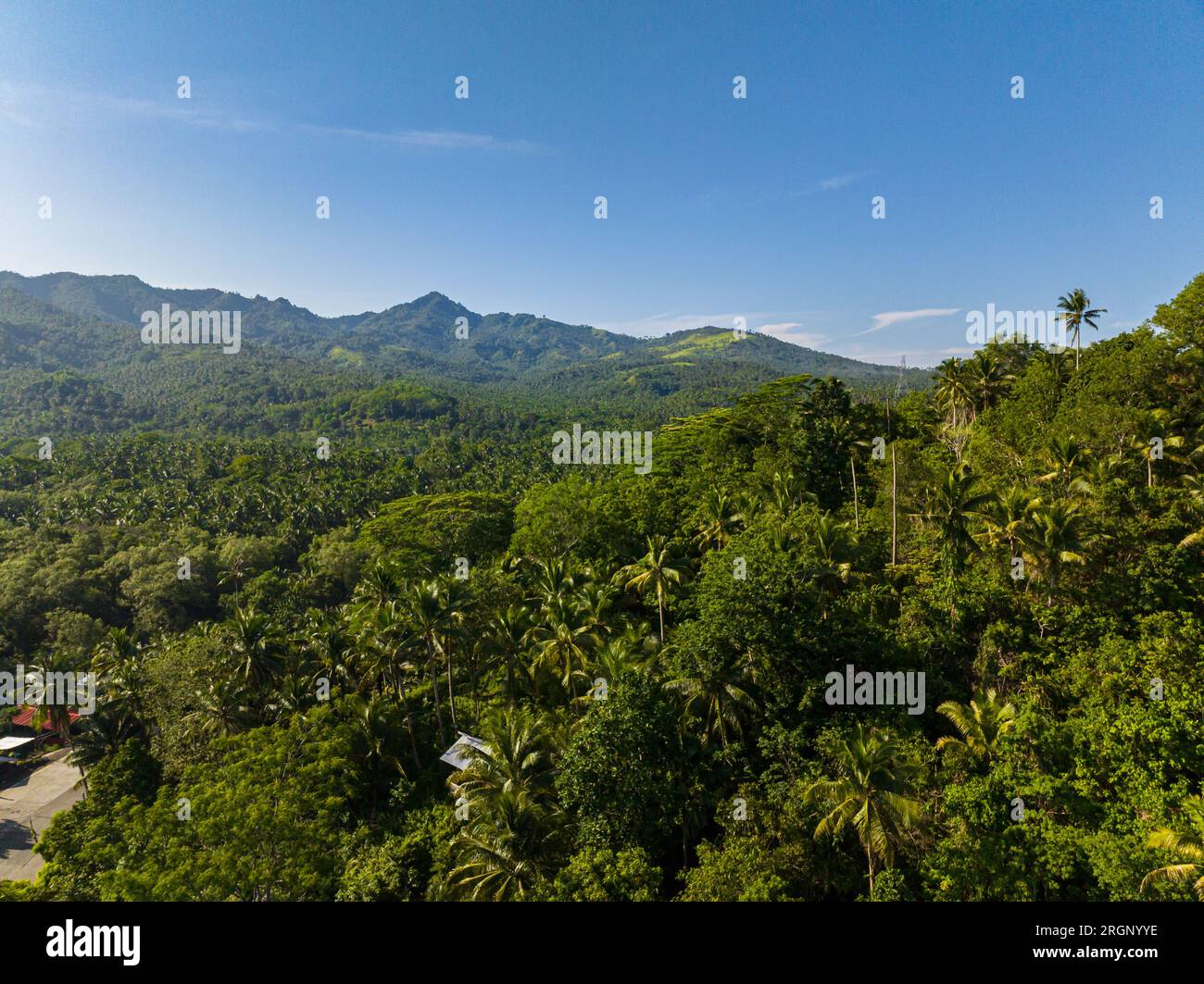 Mountains and green hills in Philippines. Slopes of mountains with ...