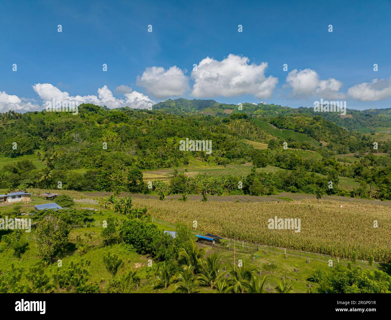 Tropical mountain with green forests and agricultural land with farm ...