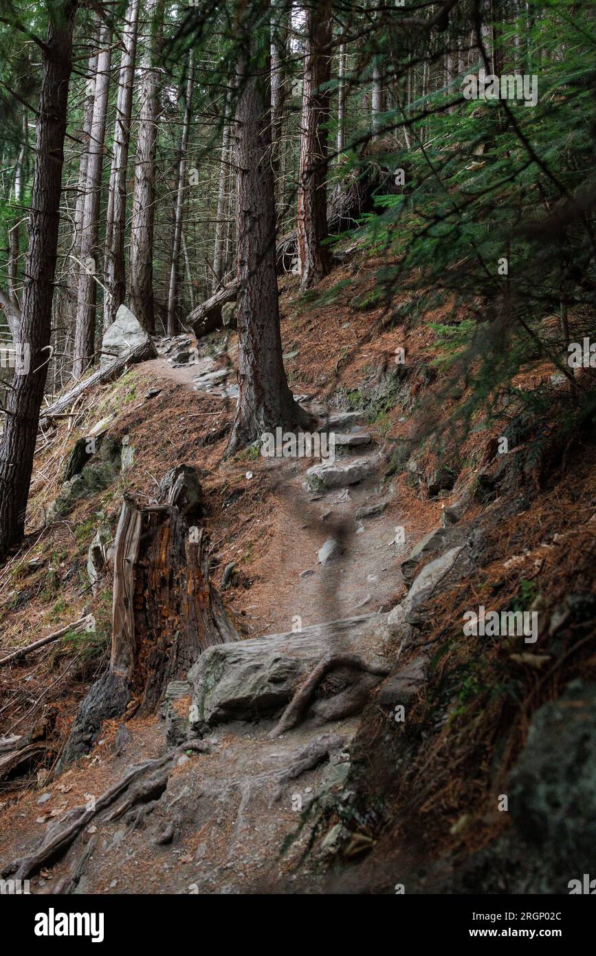 Tiki trail hi-res stock photography and images - Alamy