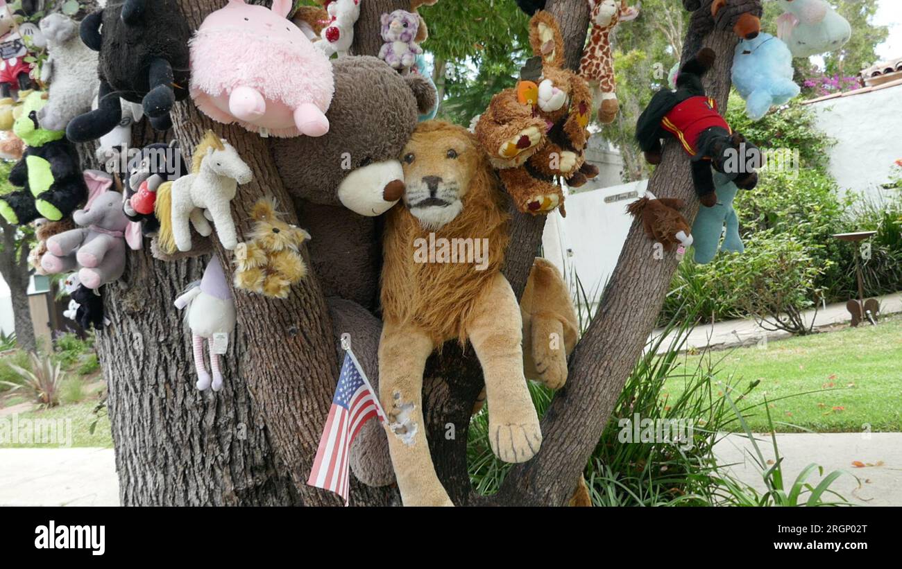 Los Angeles, California, USA 10th August 2023 A Tree filled with ...