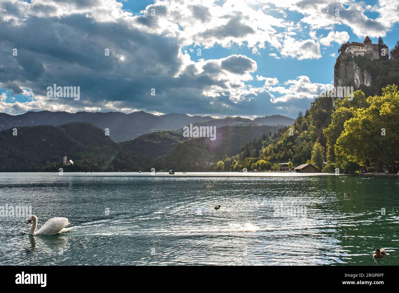 Church of the mother of god on the lake hi-res stock photography and images - Alamy