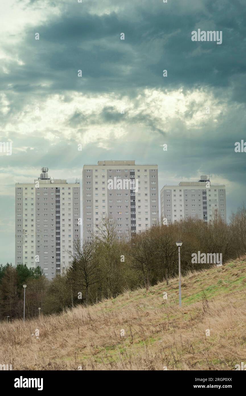 High rise council flats in poor housing estate Stock Photo - Alamy