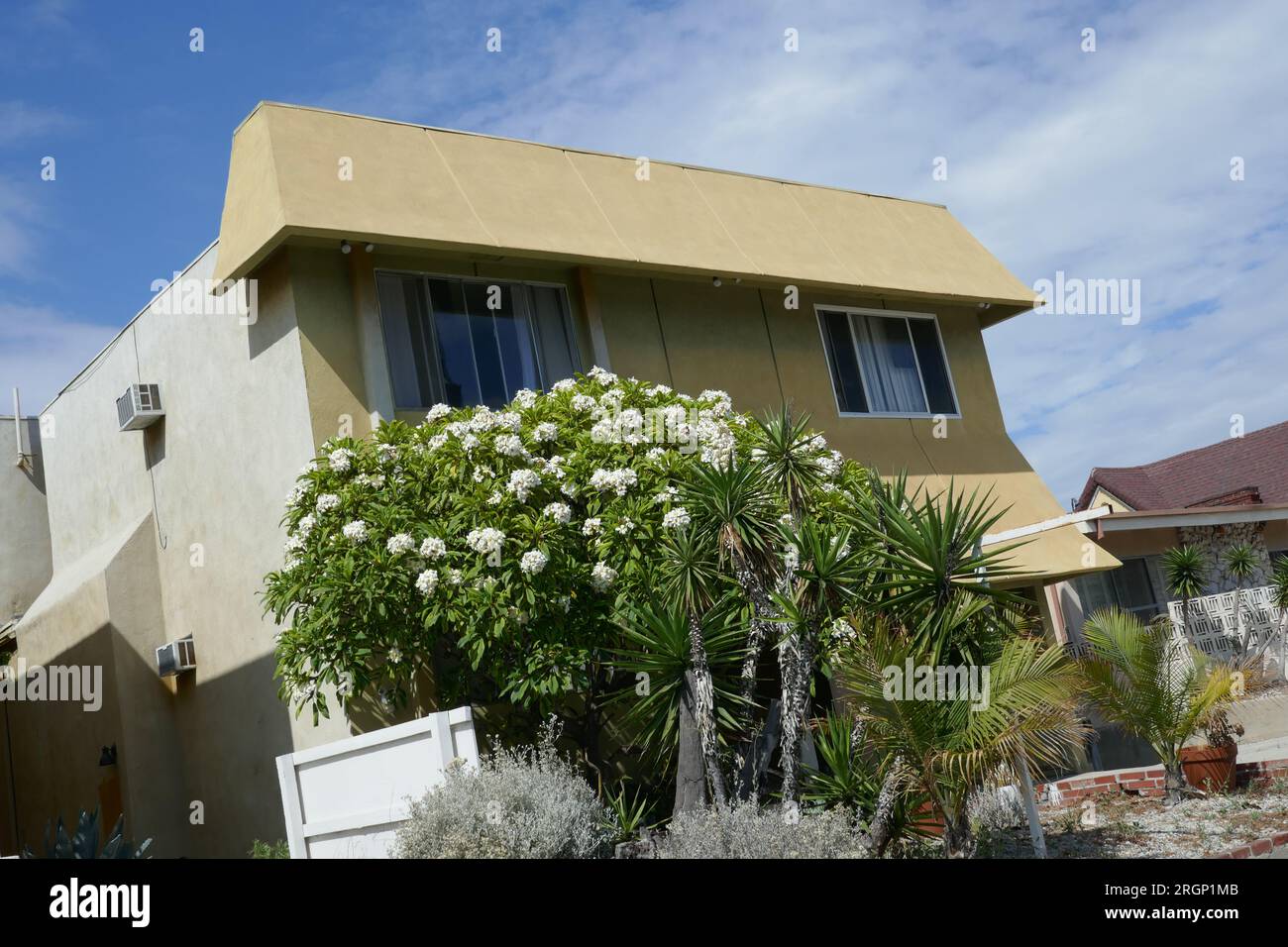 Edwin schallert hi-res stock photography and images - Alamy
