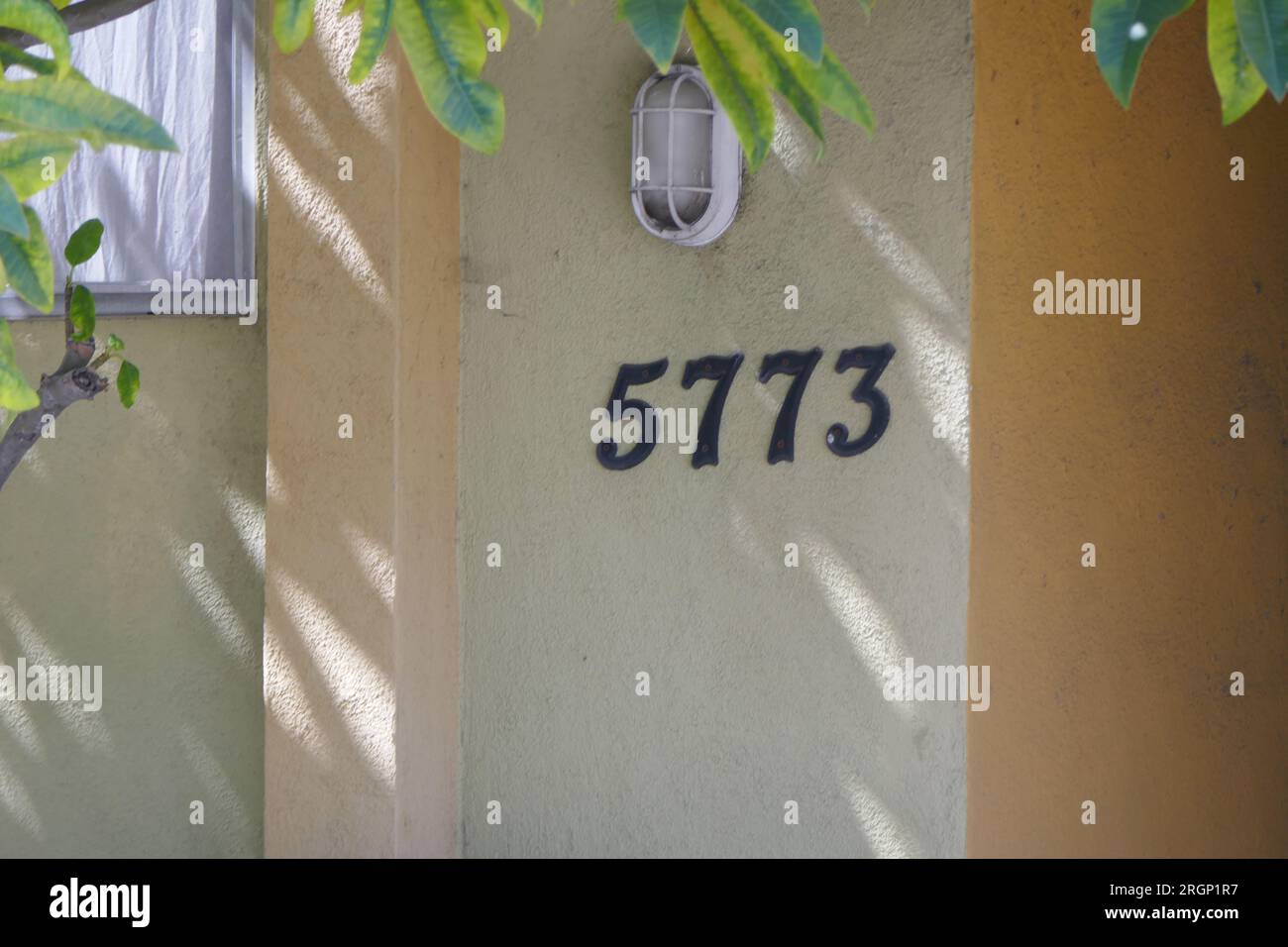 Los Angeles, California, USA 10th August 2023 Actor Edwin Schallert ...