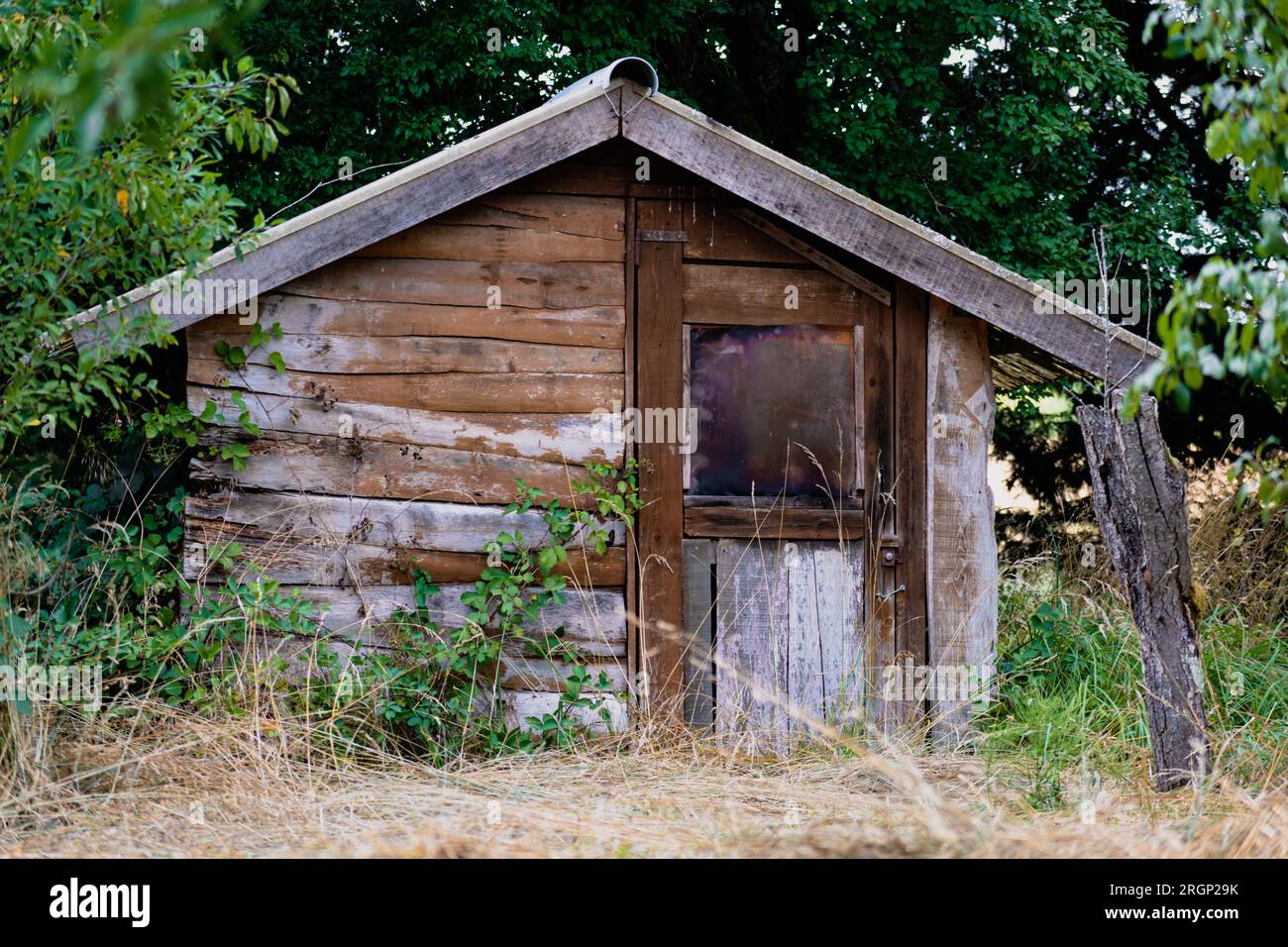 Self built hi-res stock photography and images - Alamy