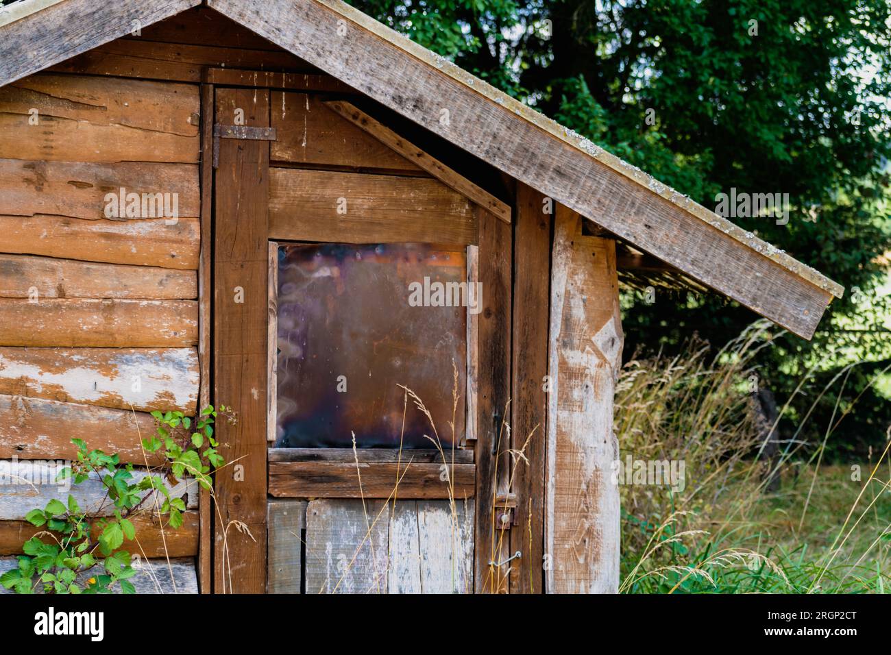 Pretty self-built wooden cabin in a wooded garden Stock Photo - Alamy