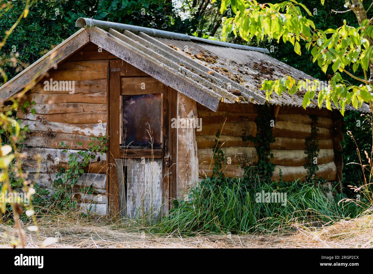 Pretty self-built wooden cabin in a wooded garden Stock Photo - Alamy