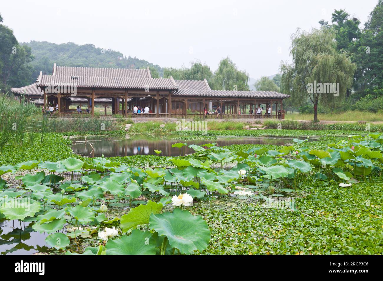 ancient architecture and pond in a traditional Chinese garden Stock ...
