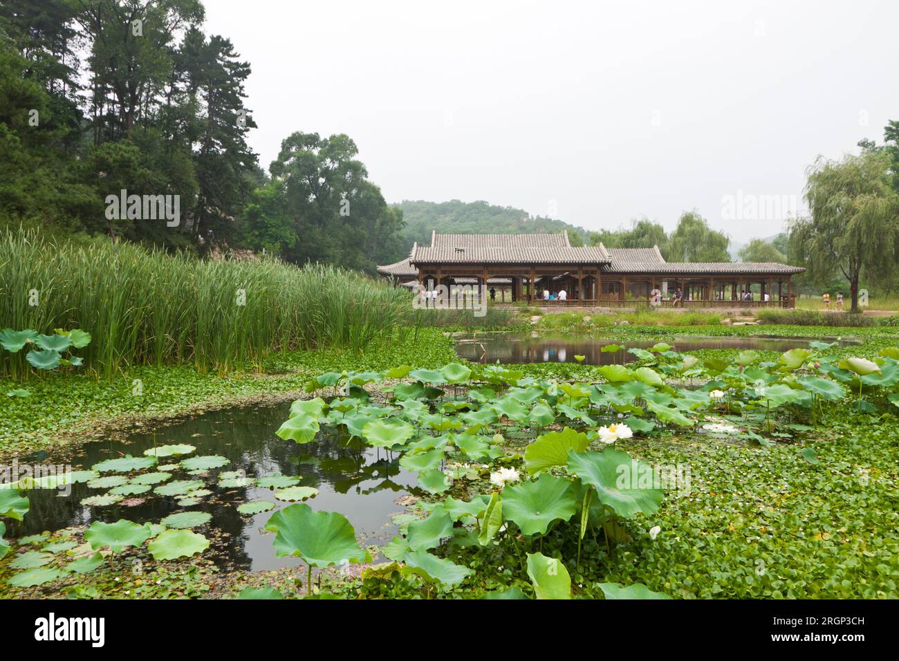 ancient architecture and pond in a traditional Chinese garden Stock ...