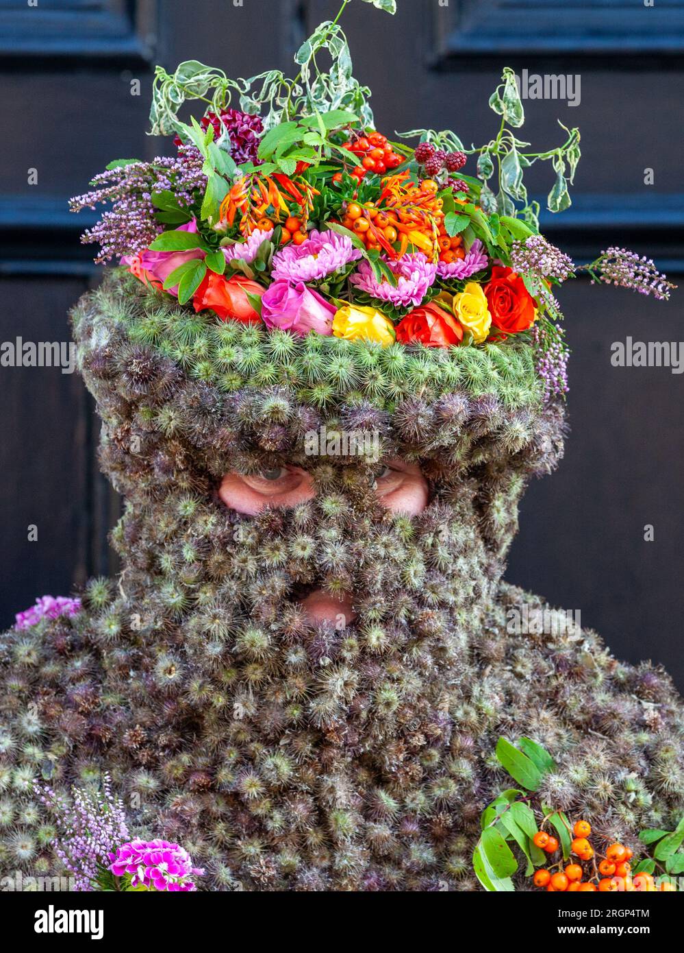 Burry man burry man parade hi-res stock photography and images - Alamy