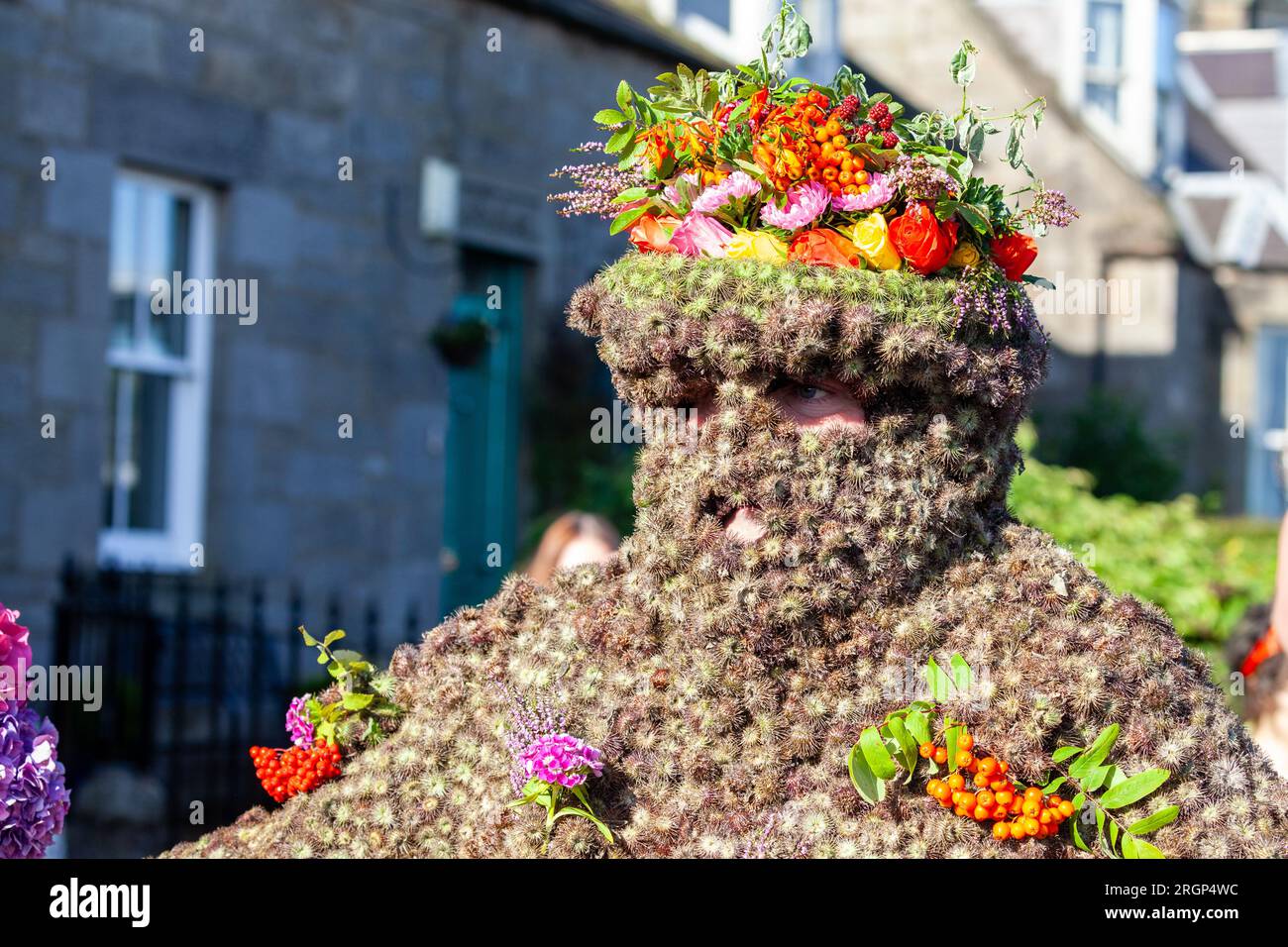 South Queensferry, Scotland. 11 August 2023. The Burryman or Burry Man ...