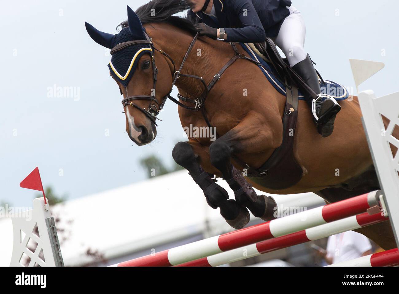 Horse Jumping, Equestrian Sports, Show Jumping event themed photograph ...