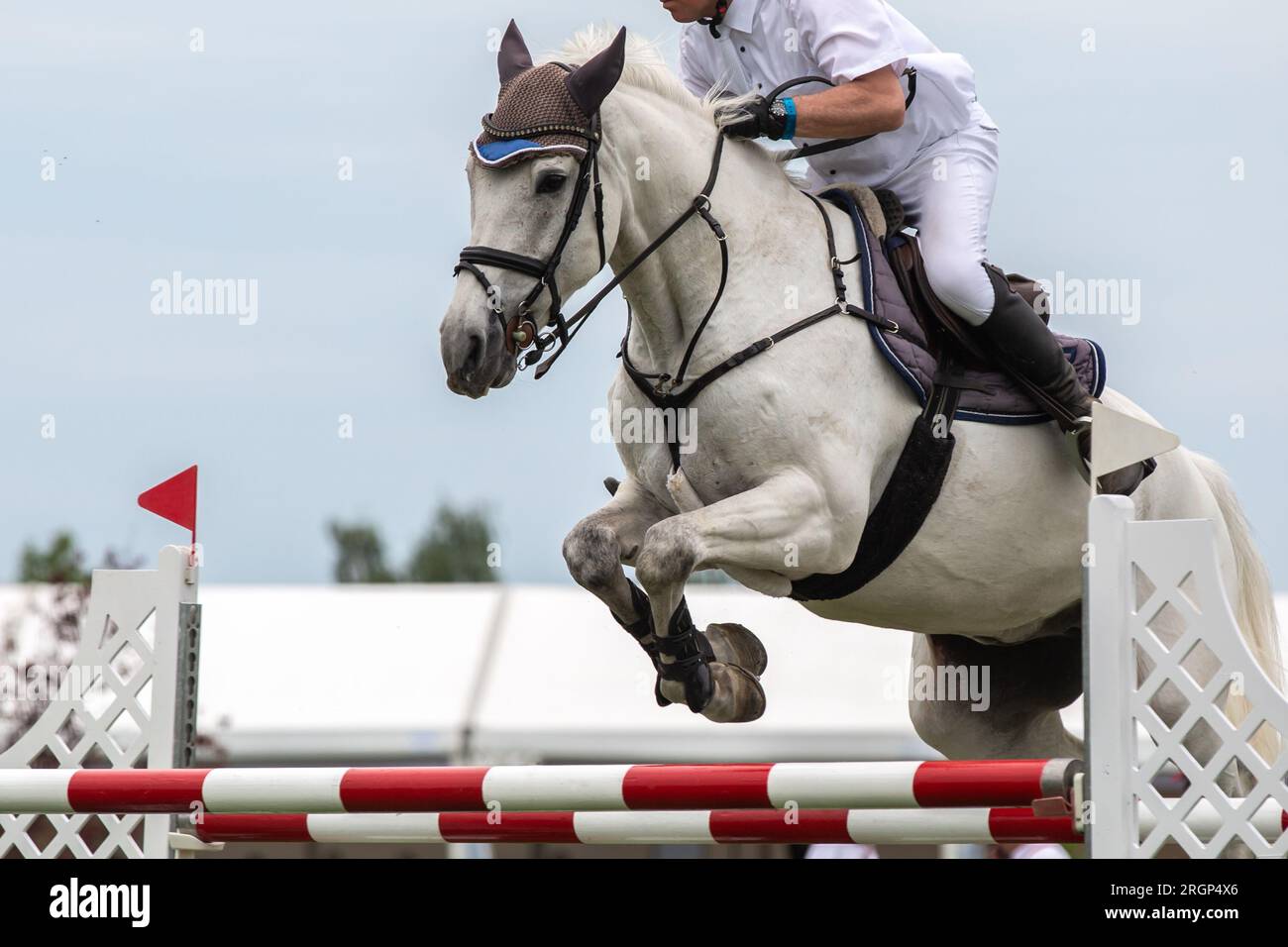 Horse Jumping, Equestrian Sports, Show Jumping event themed photograph ...