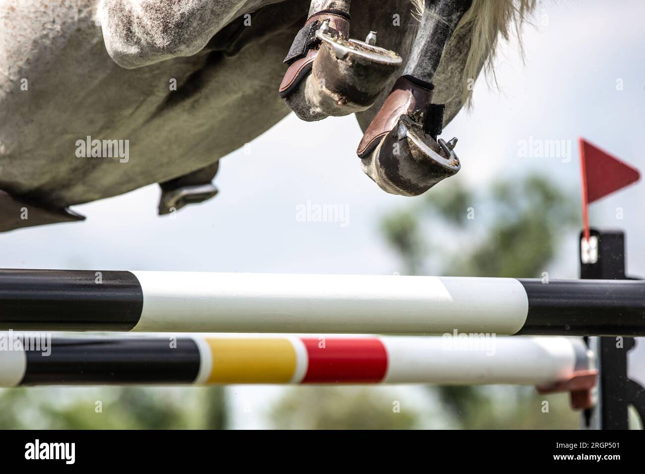 Horse Jumping, Equestrian Sports, Show Jumping event themed photograph ...