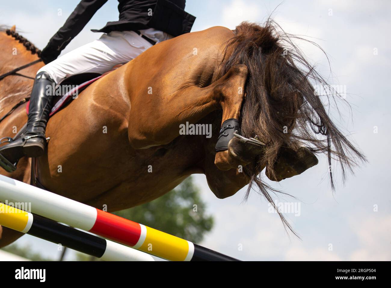 Horse Jumping, Equestrian Sports, Show Jumping event themed photograph ...