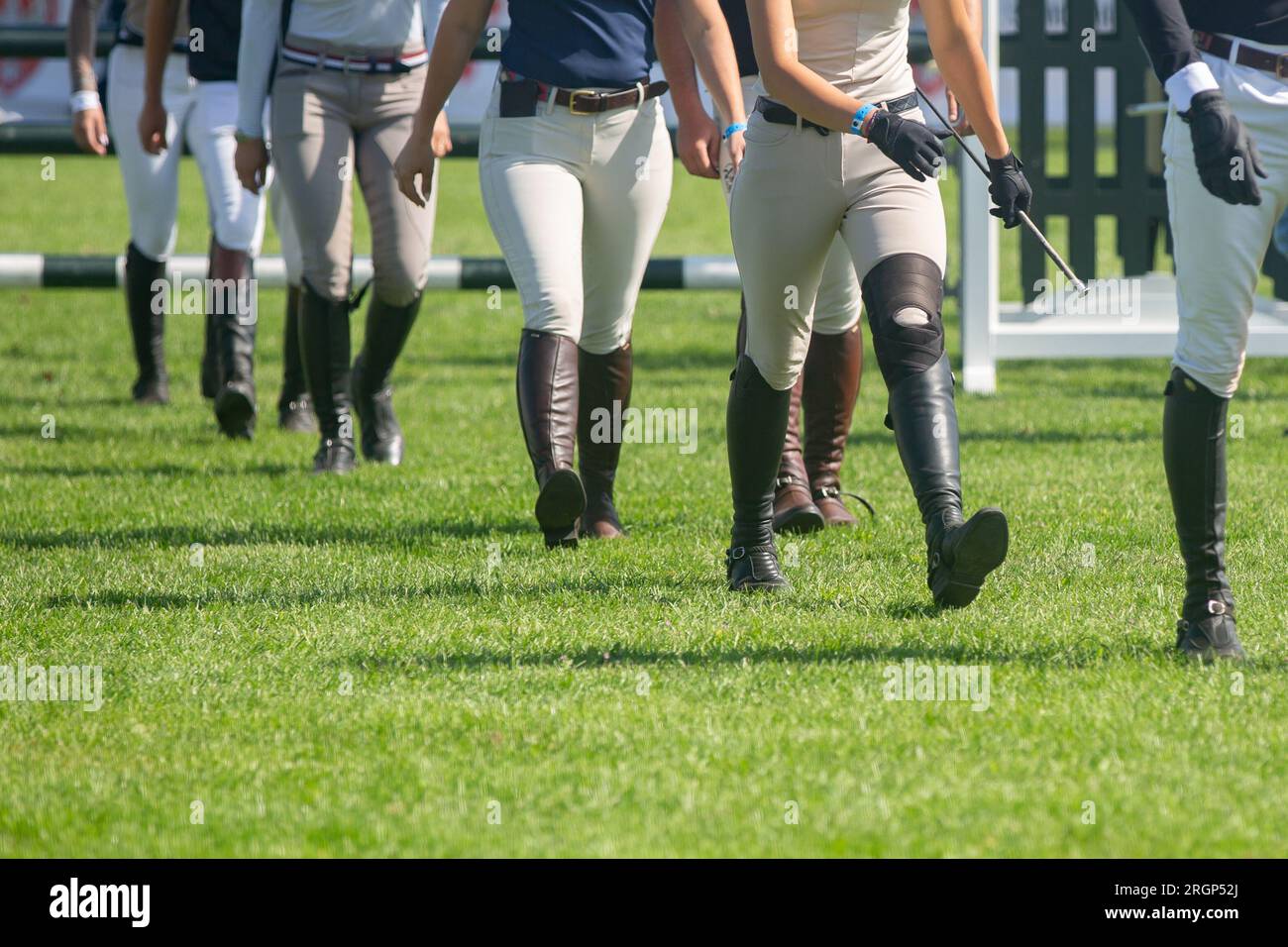 Equestrian Sports, Horse jumping, Show Jumping, Horse Riding themed ...