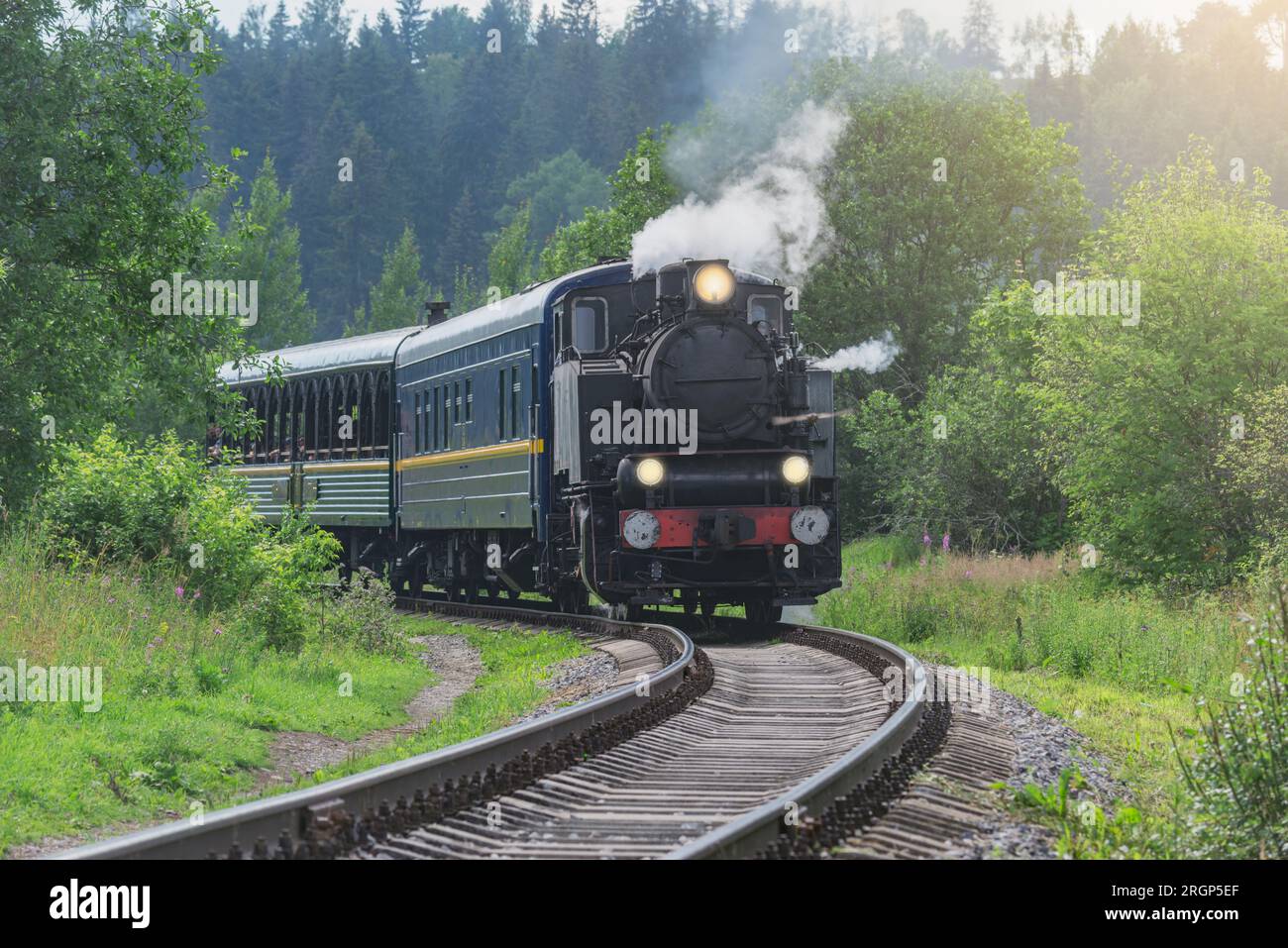 Retro steam train moves in the forest Stock Photo - Alamy