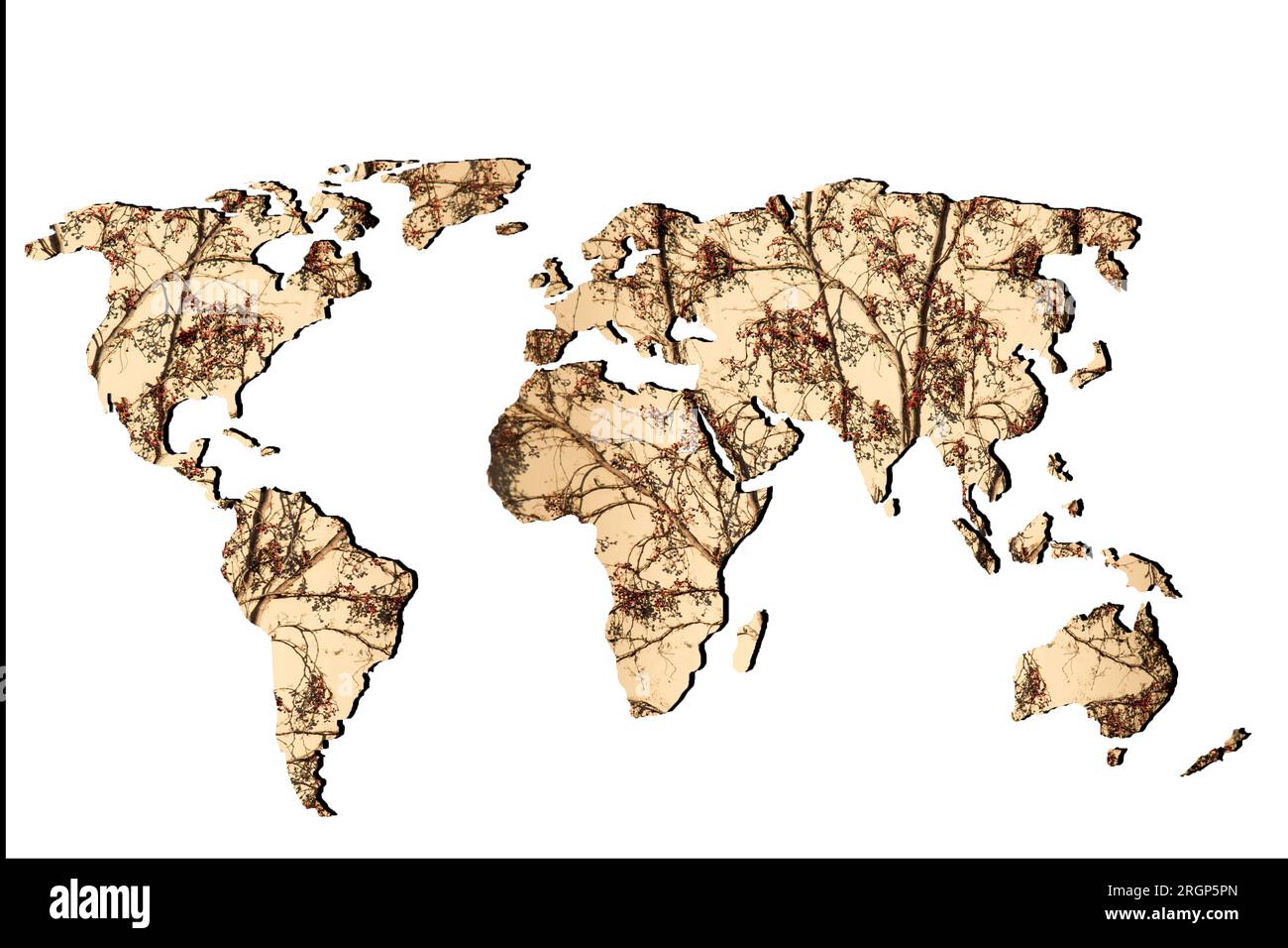 Map of leaves hi-res stock photography and images - Alamy