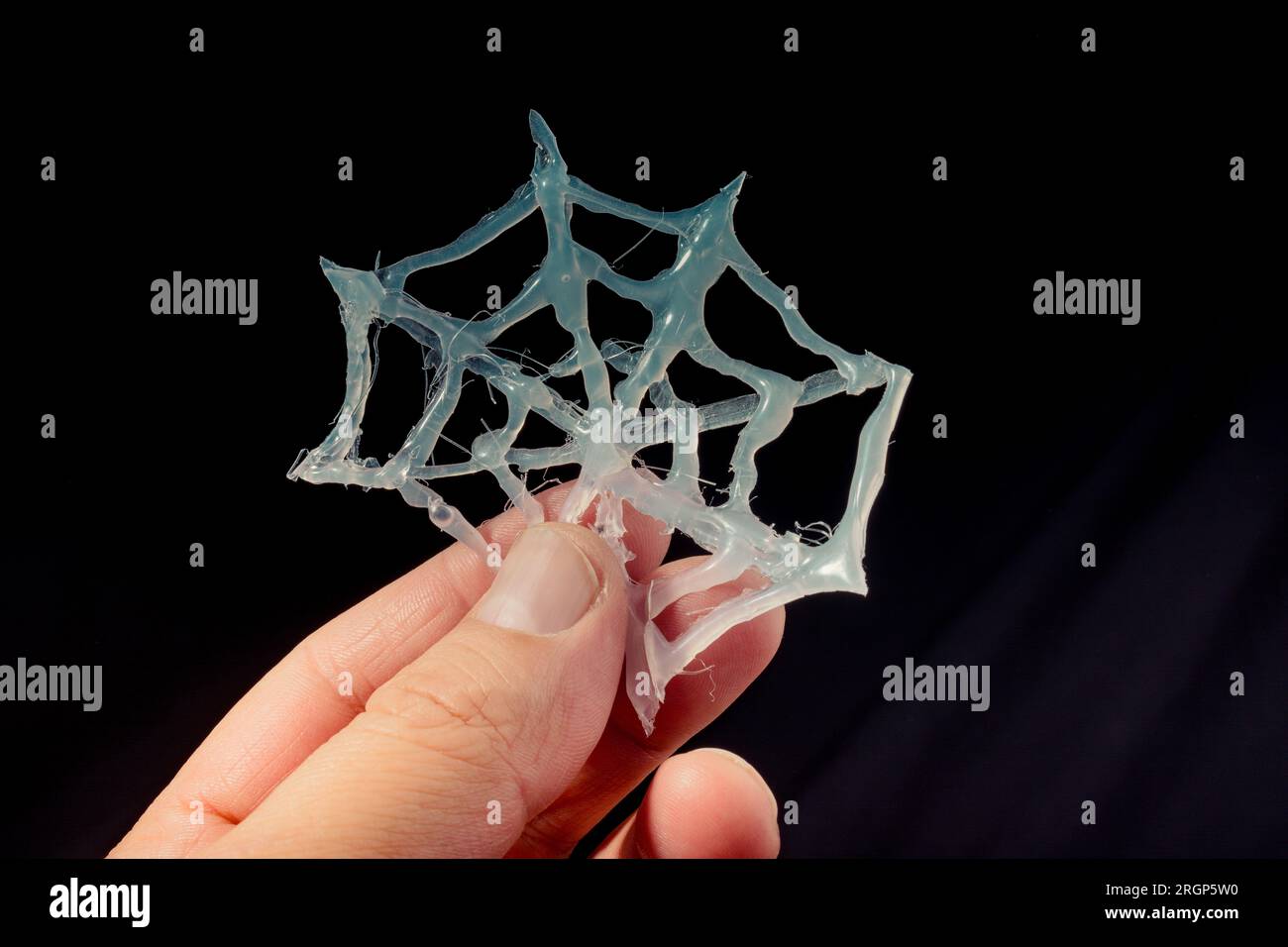 Spider Web Tattoo Hand