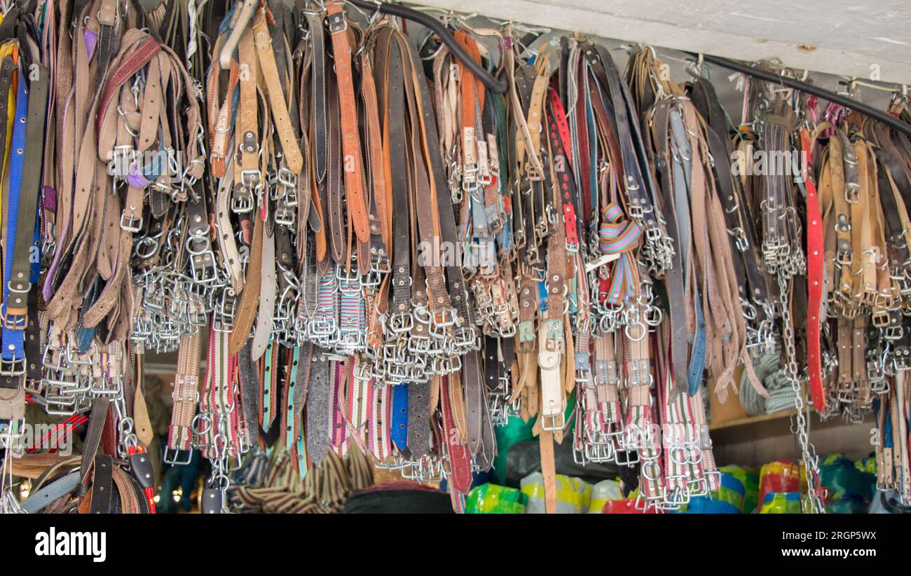 Colored belts hi-res stock photography and images - Alamy