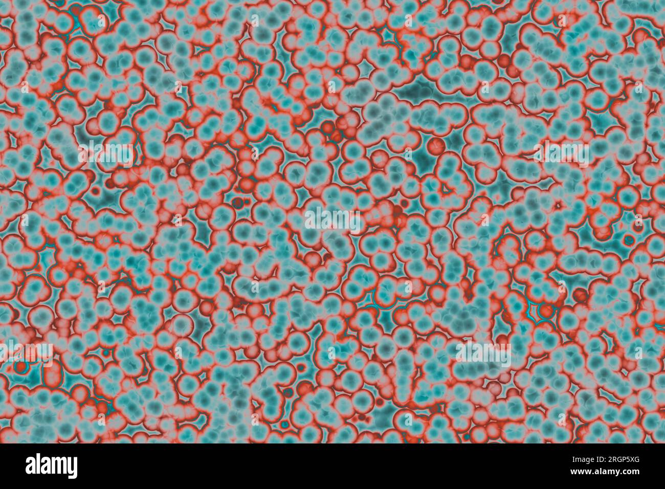 Good bad gut bacteria hi-res stock photography and images - Alamy