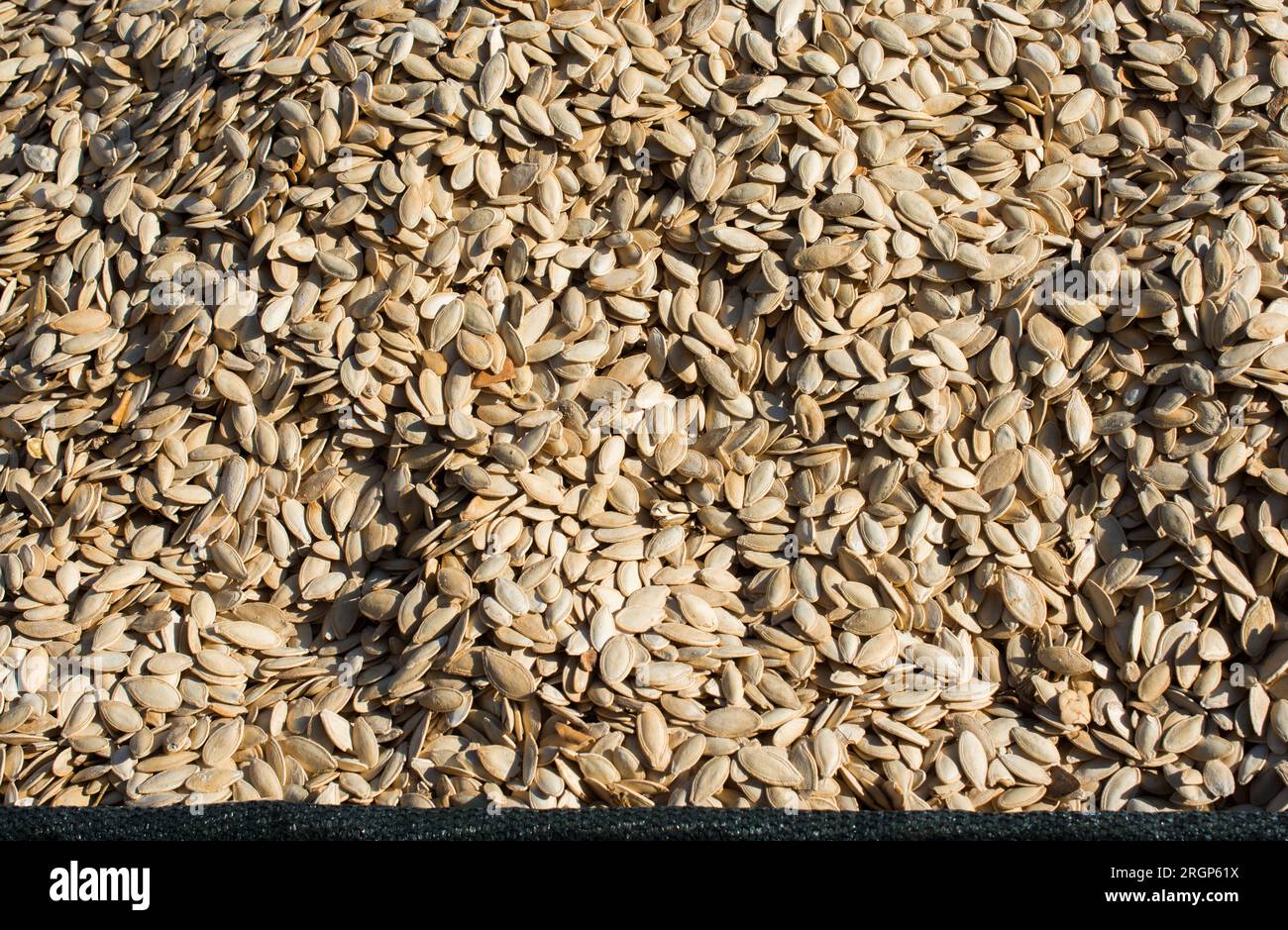 Large edible seeds hi-res stock photography and images - Alamy