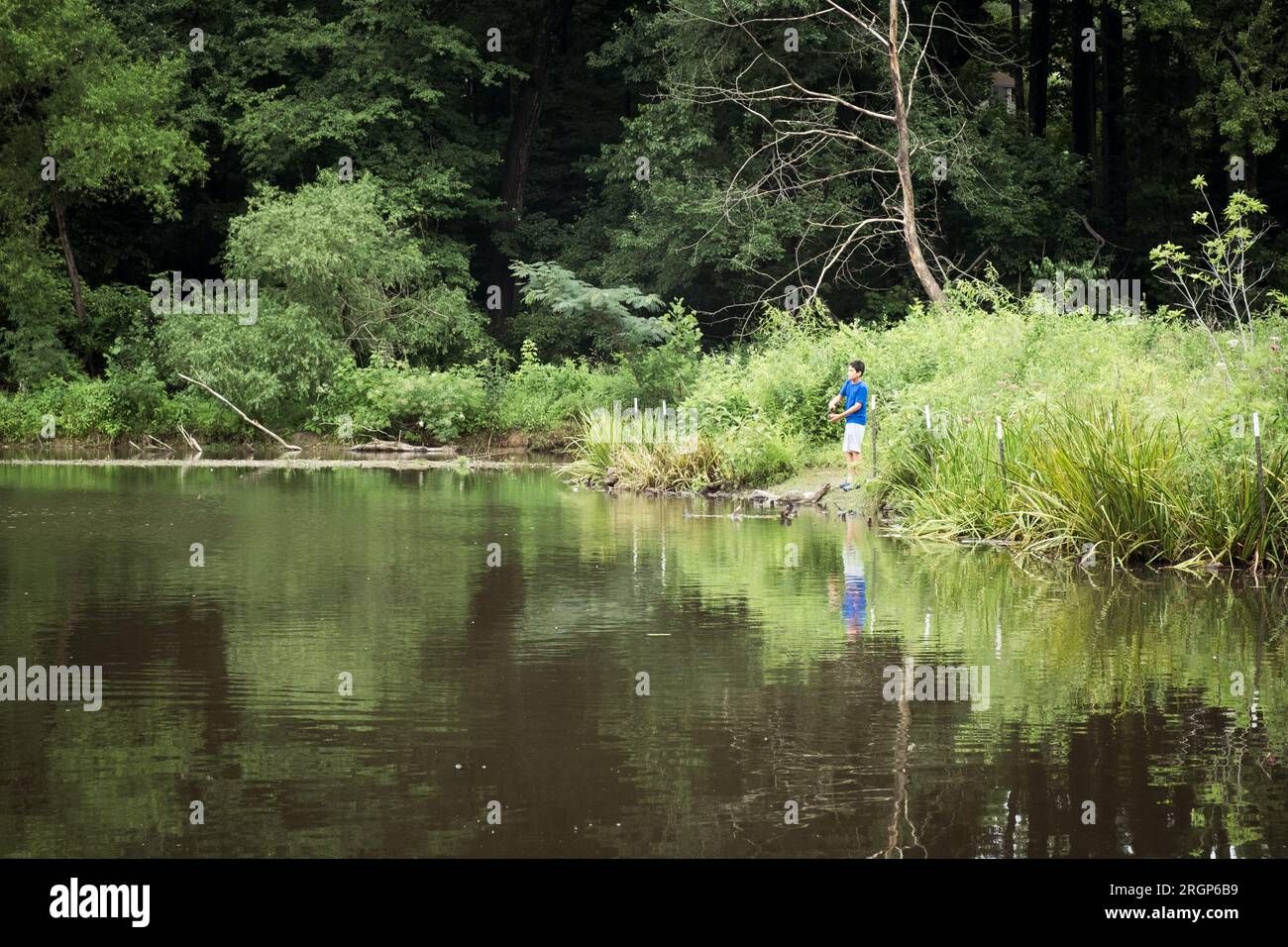 Boy casting hi-res stock photography and images - Alamy