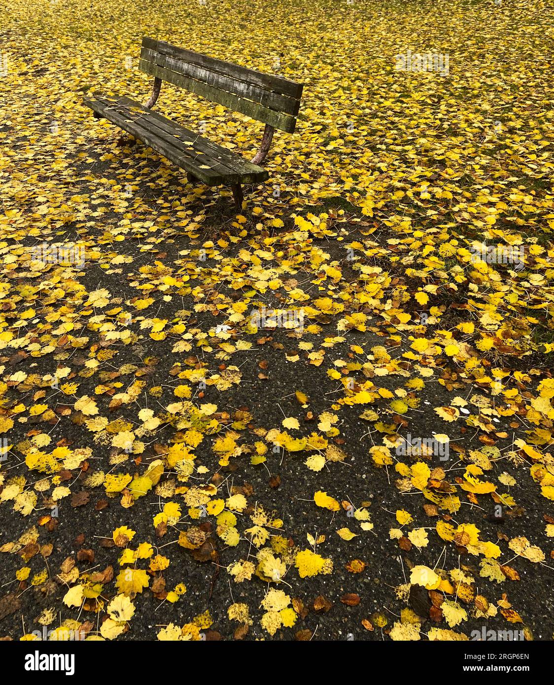 Seattle rainfall hi-res stock photography and images - Alamy