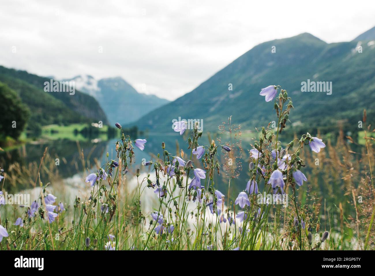 Norwegian spectacular nature landscape view hi-res stock photography ...