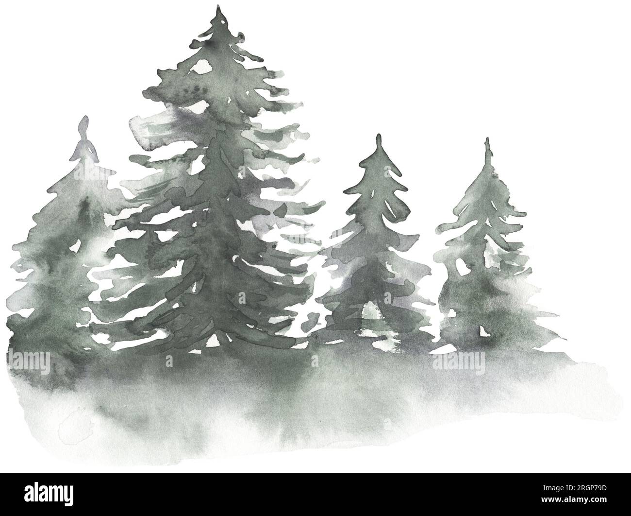 Watercolor woodland illustration, forest tree and fog background ...