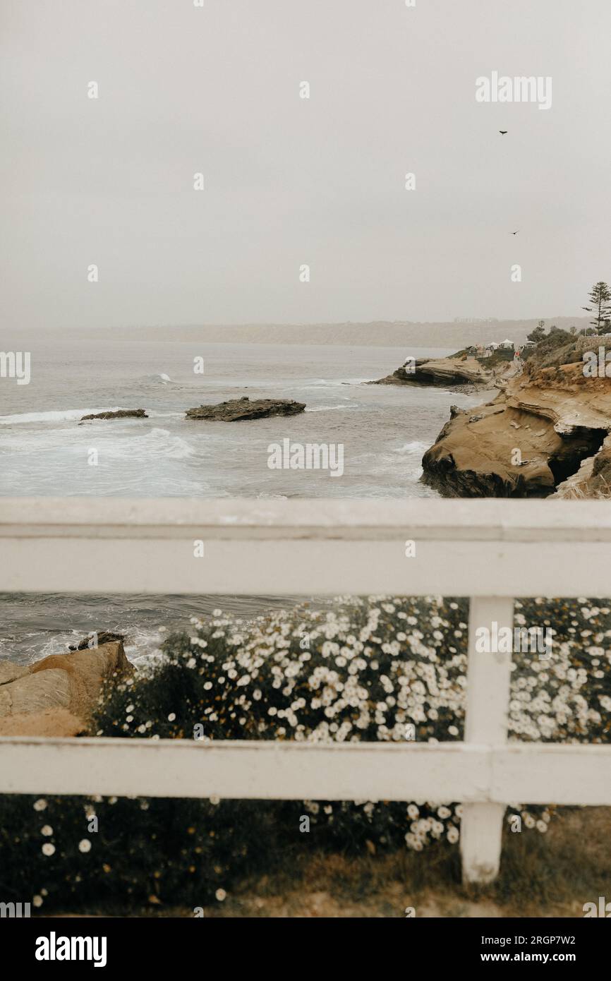 Oceanside birds hi-res stock photography and images - Alamy