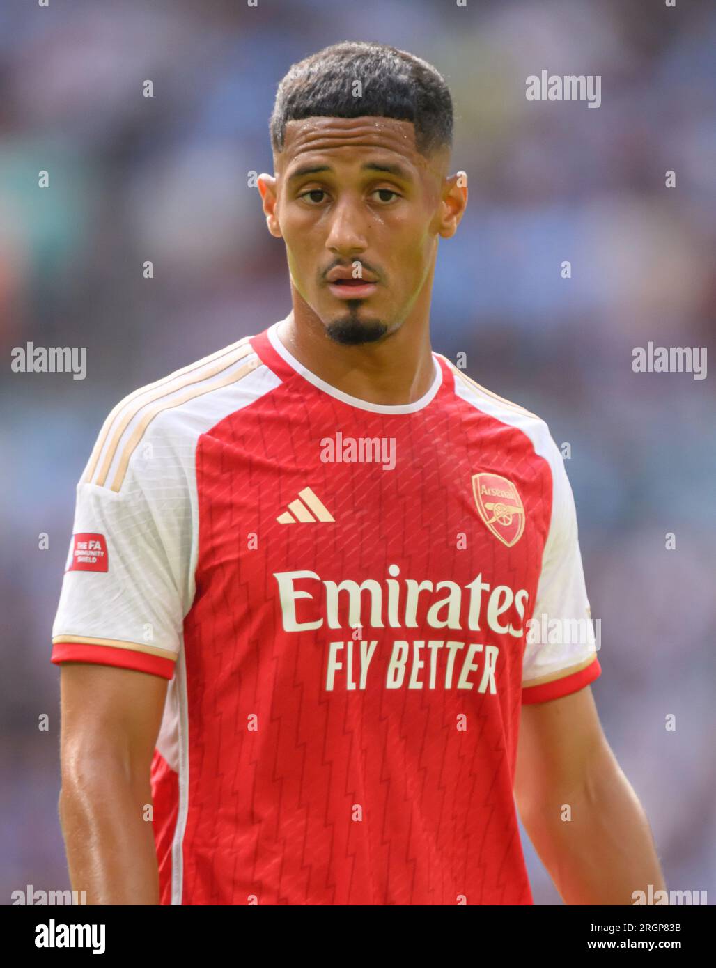 William manchester hi-res stock photography and images - Alamy