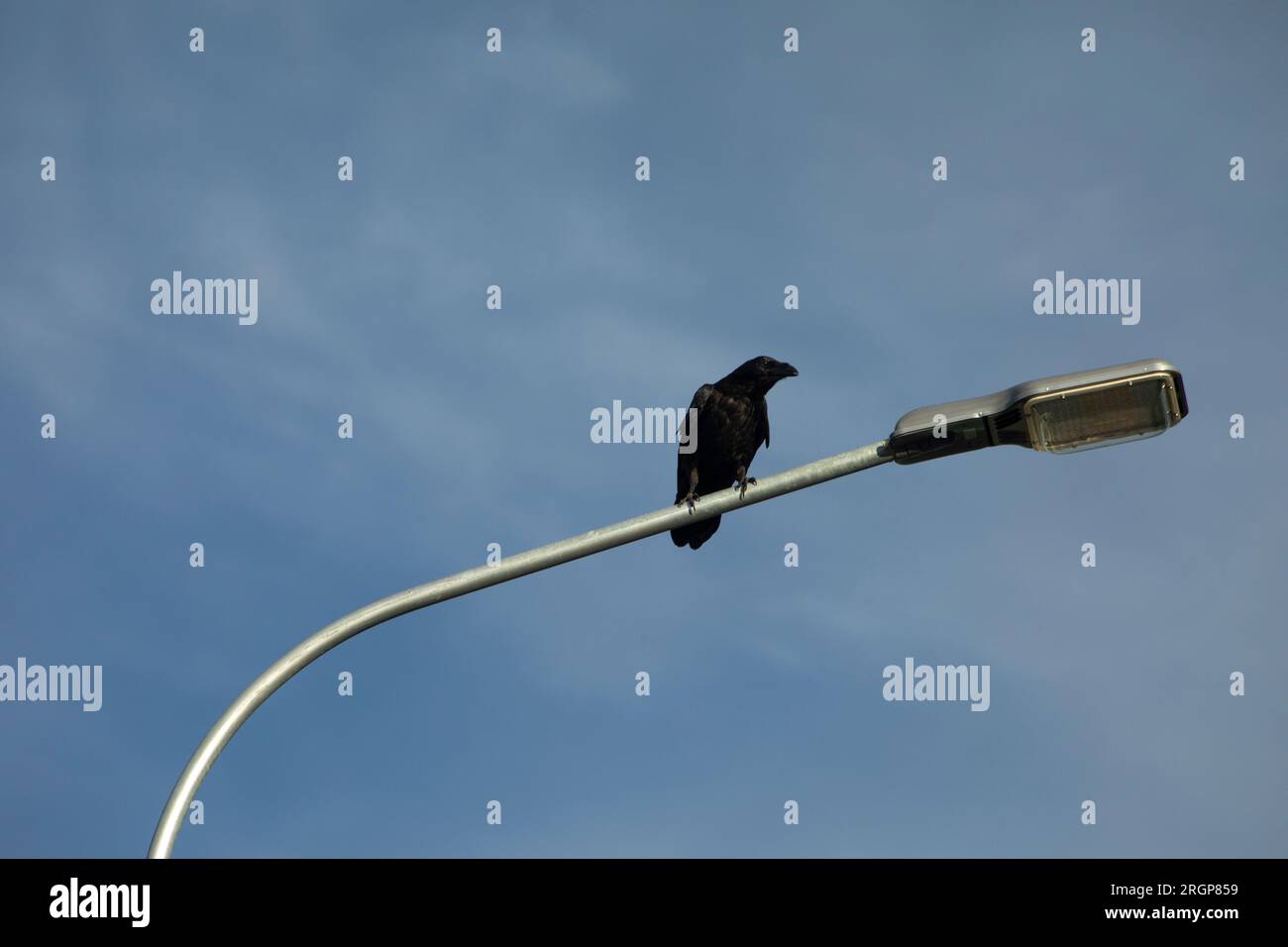Old raven street hi-res stock photography and images - Alamy