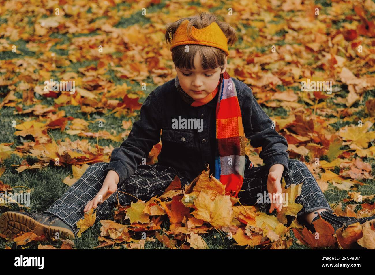 Autumn Boy Portrait In Fall Yellow Leaves in Park Outdoor Stock Photo ...