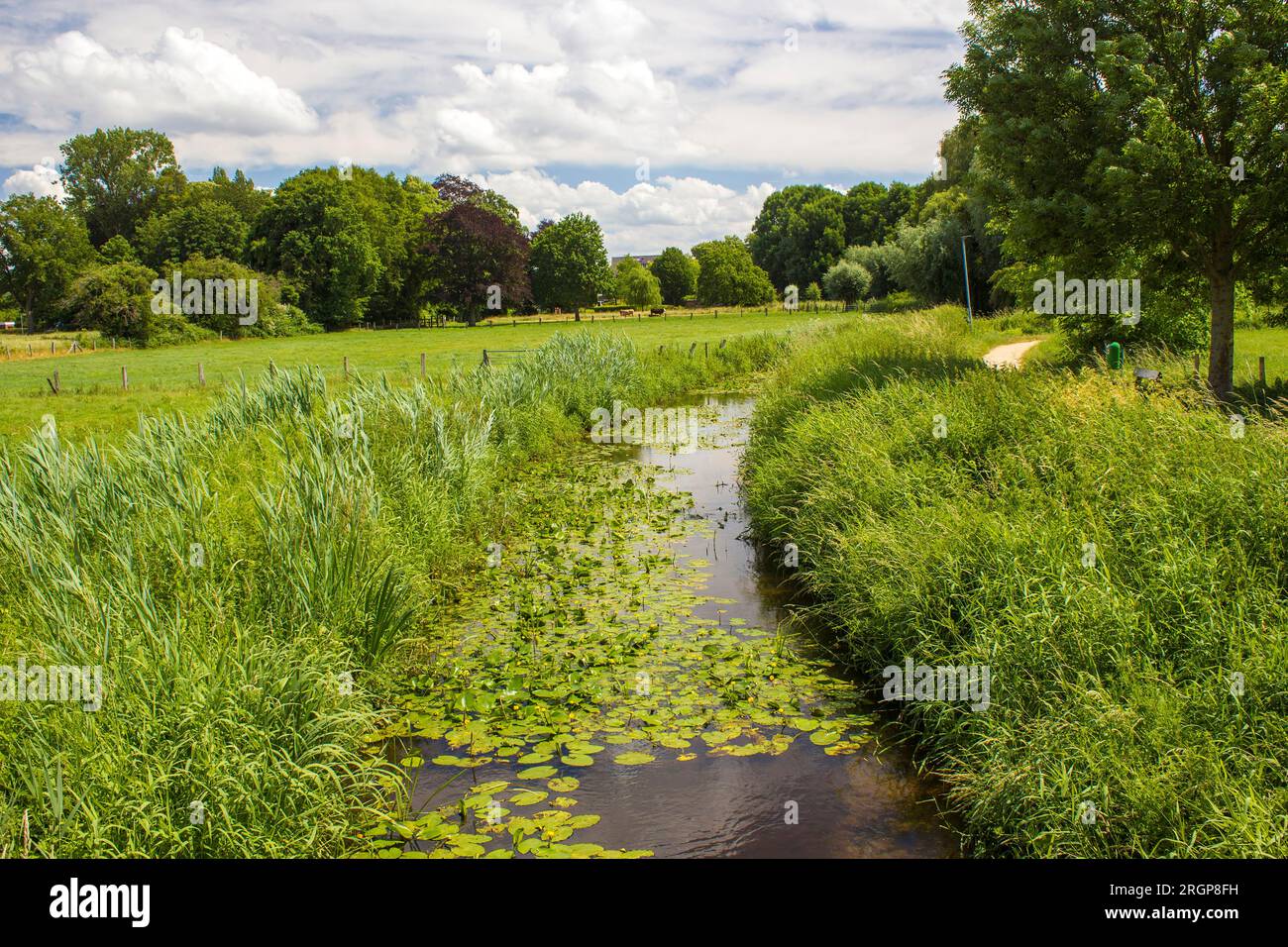German countryside landscape, Lower Rhine Region, Germany Stock Photo ...