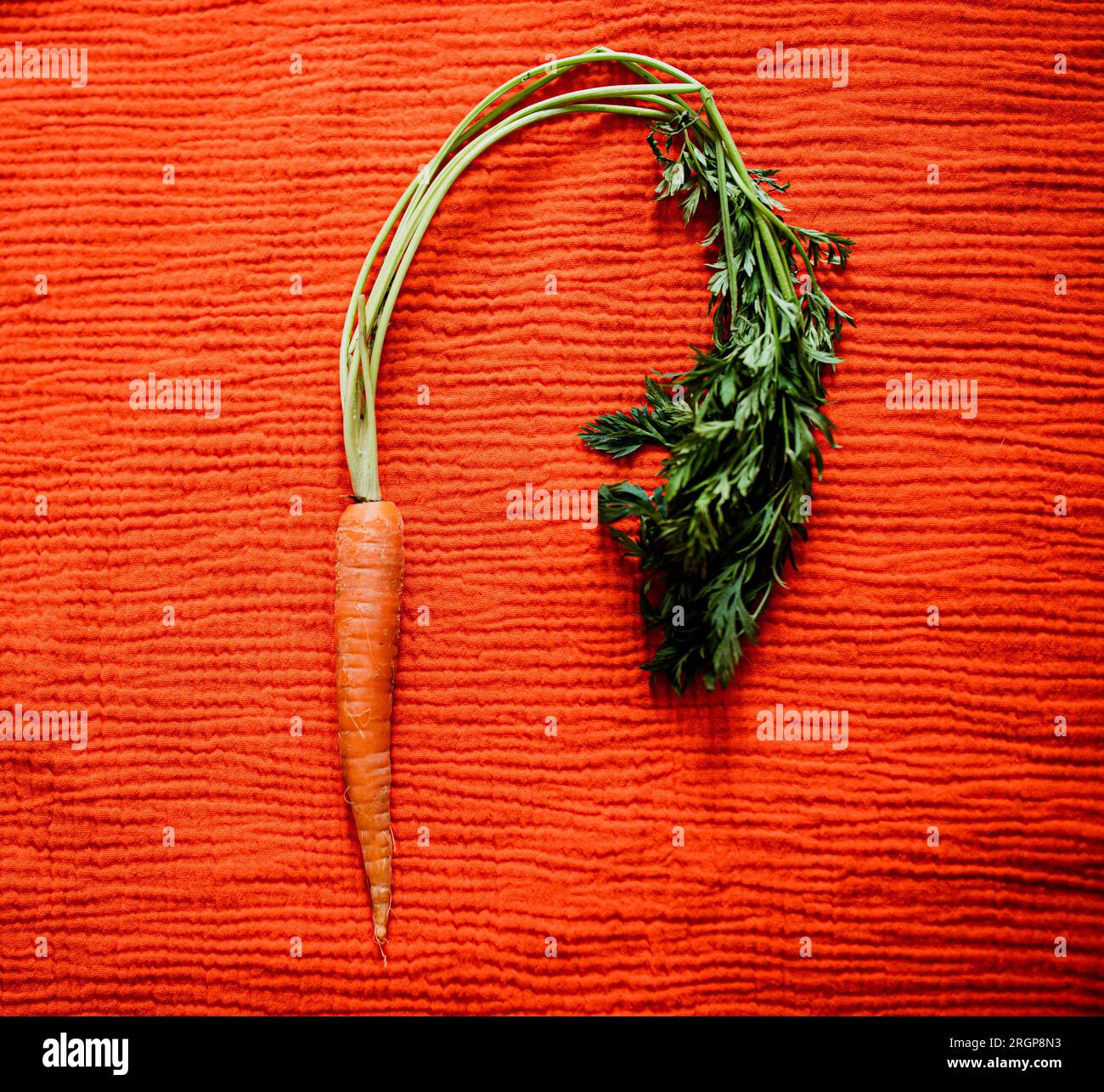 Carrot with greens hi-res stock photography and images - Alamy