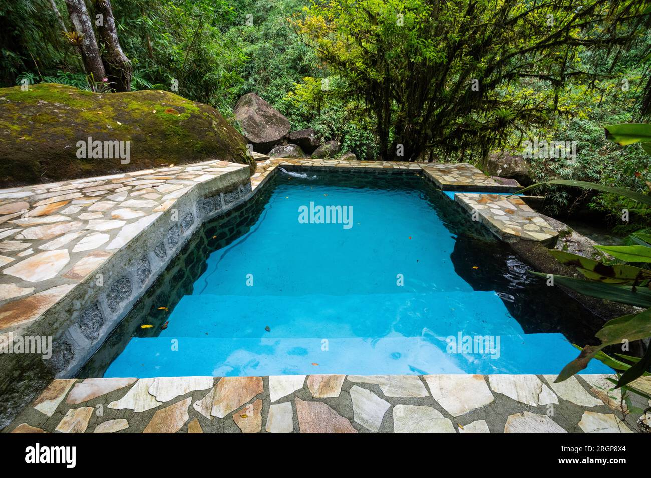 Beautiful view to blue natural swimming pool and green rainforest Stock ...