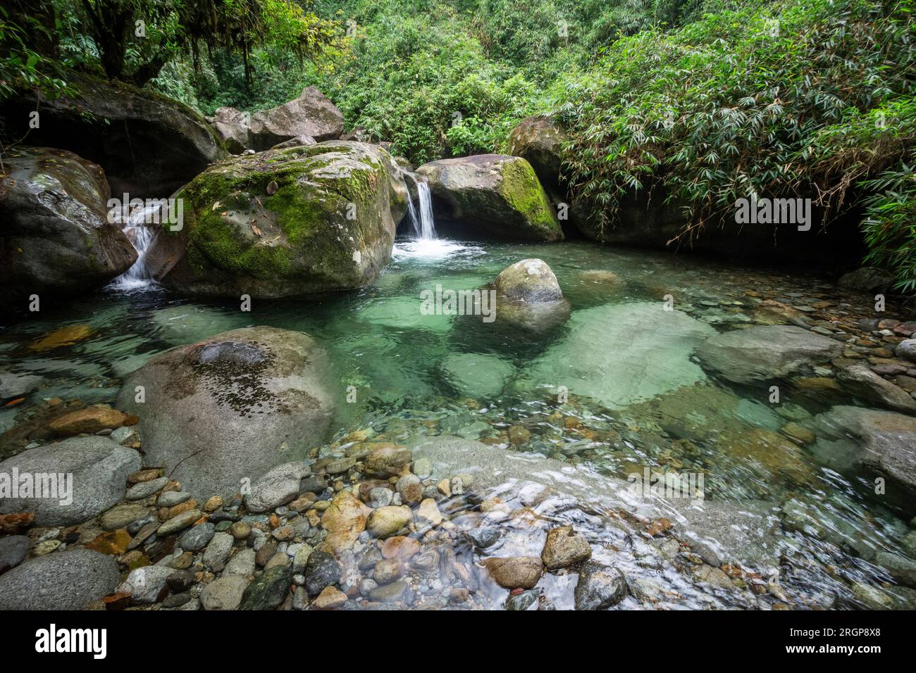Beautiful view to tropical green rainforest crystal clear water pool ...