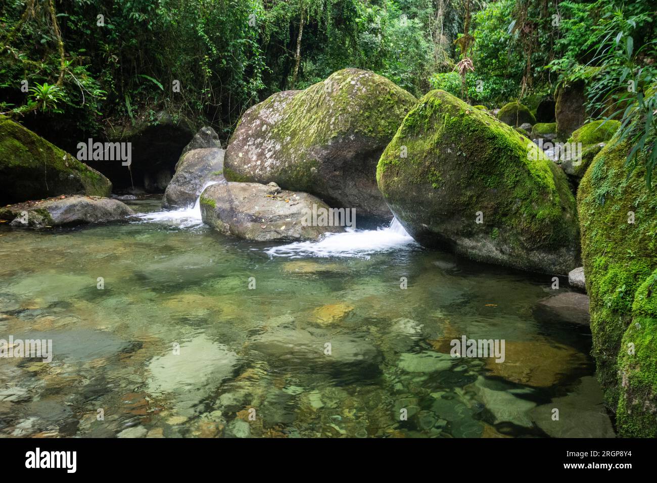 Beautiful view to tropical green rainforest crystal clear water pool ...