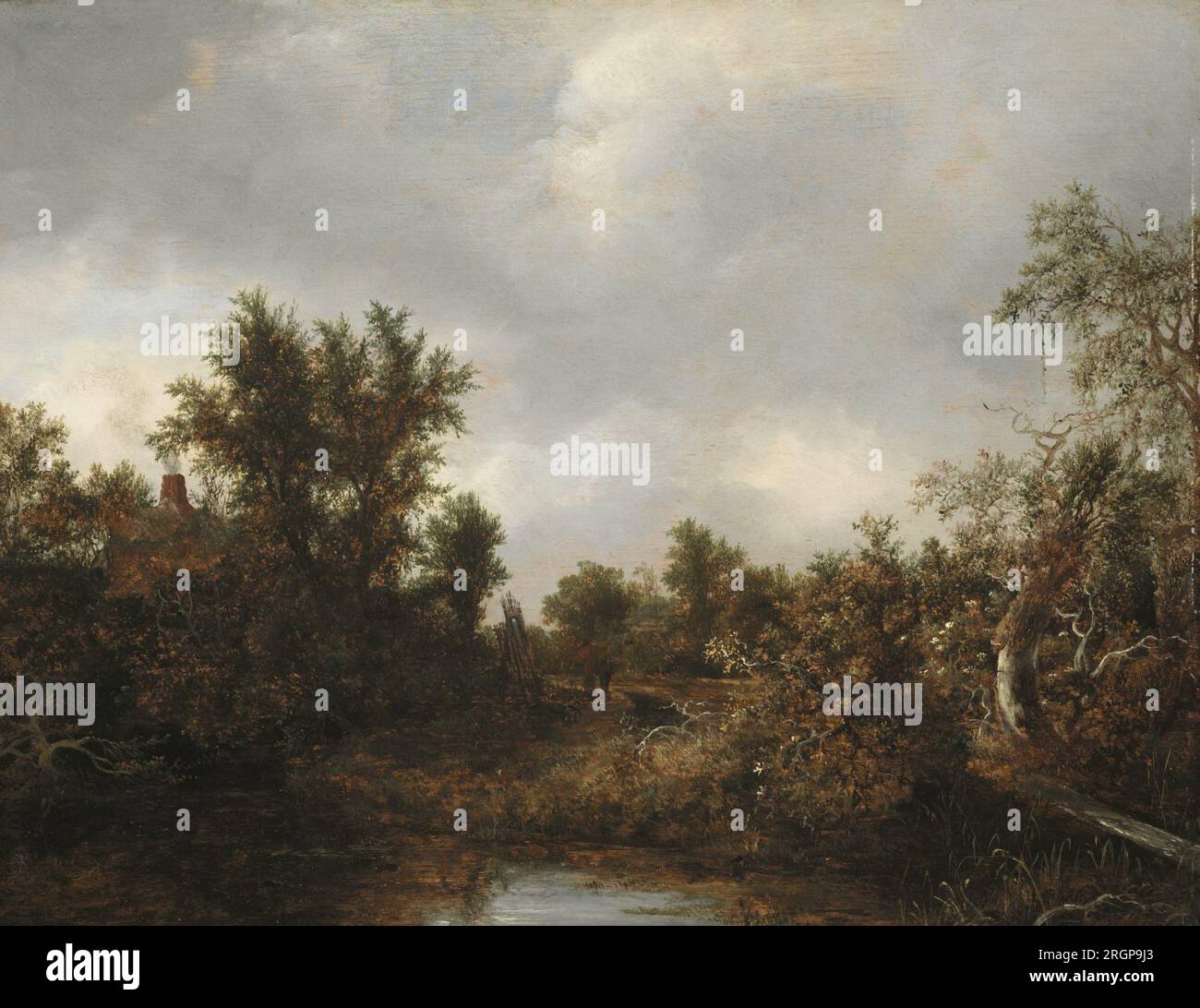 Landscape, ca. 1646 circa 1646 by Jacob van Ruisdael Stock Photo - Alamy