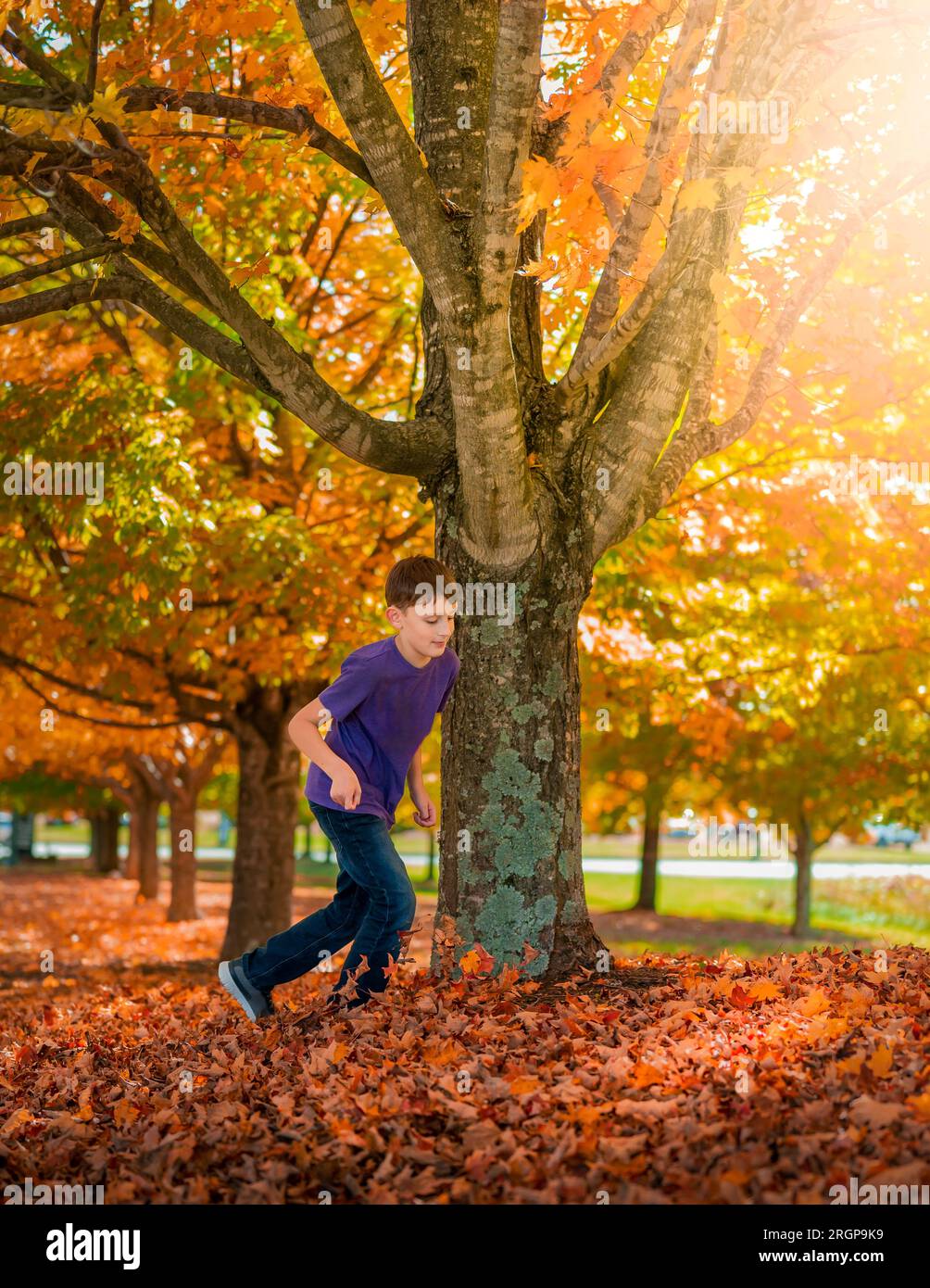 Running through leaves hi-res stock photography and images - Alamy