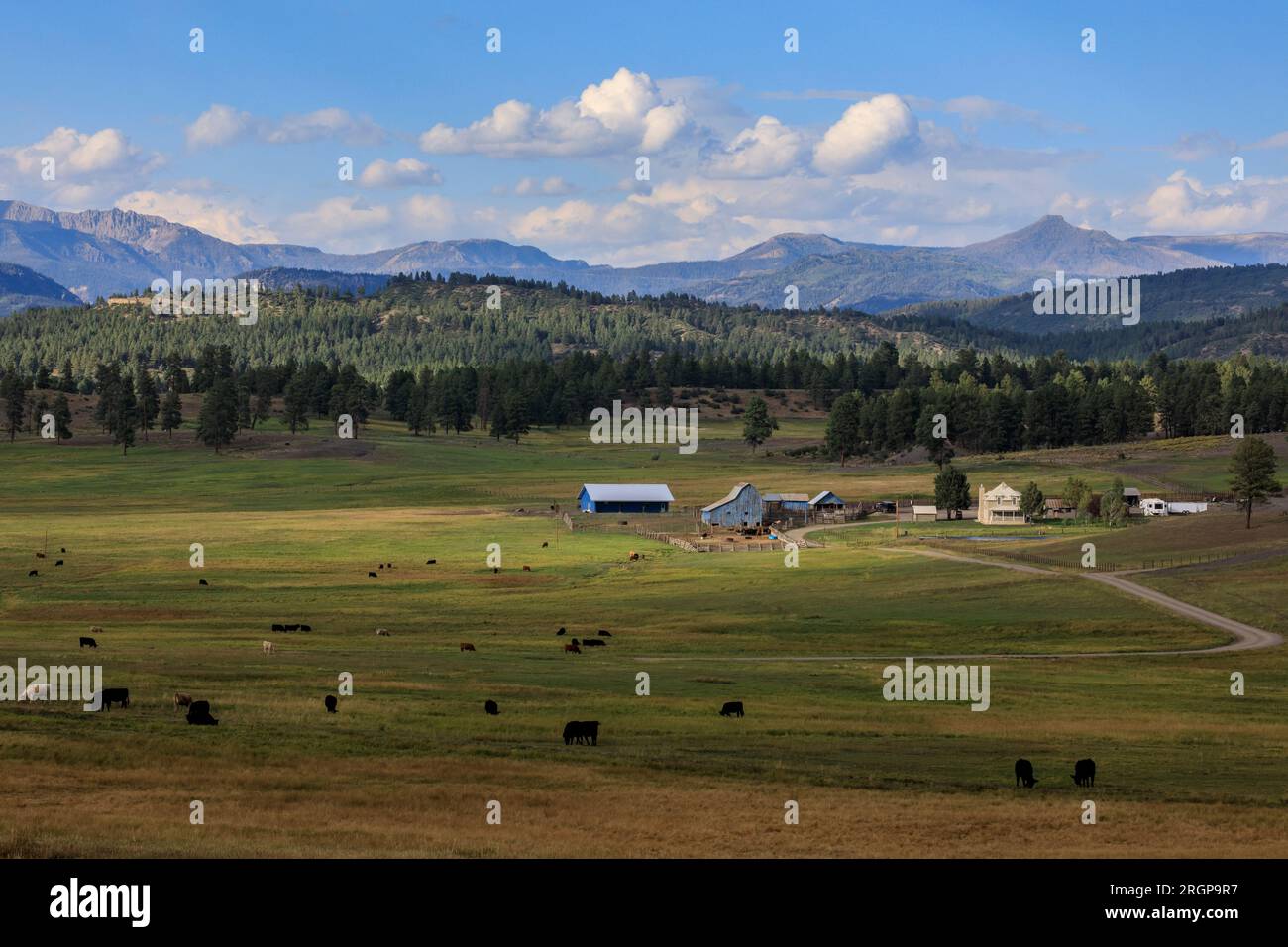 Pagosa springs buildings hi-res stock photography and images - Alamy