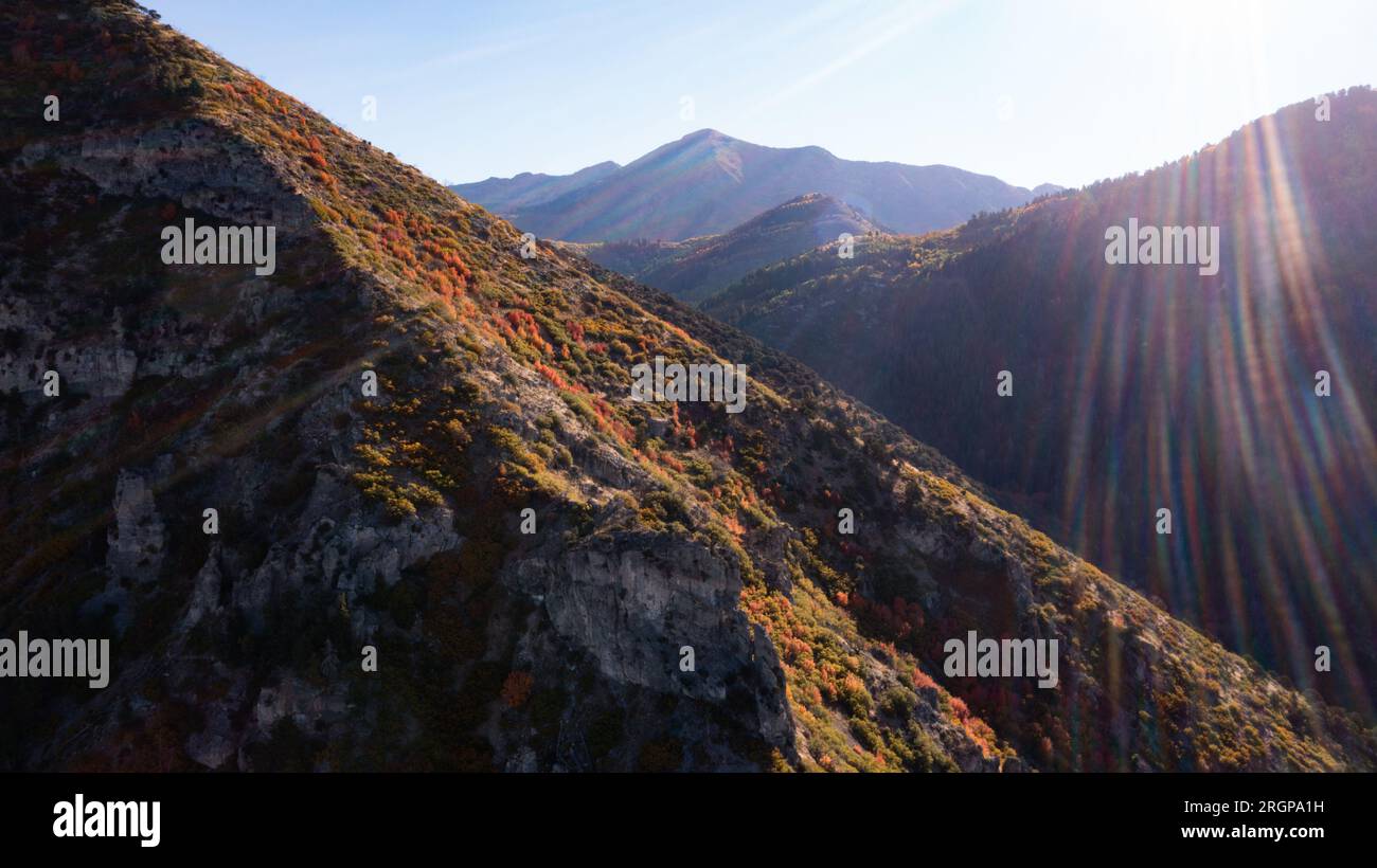 Range of leaves hi-res stock photography and images - Alamy