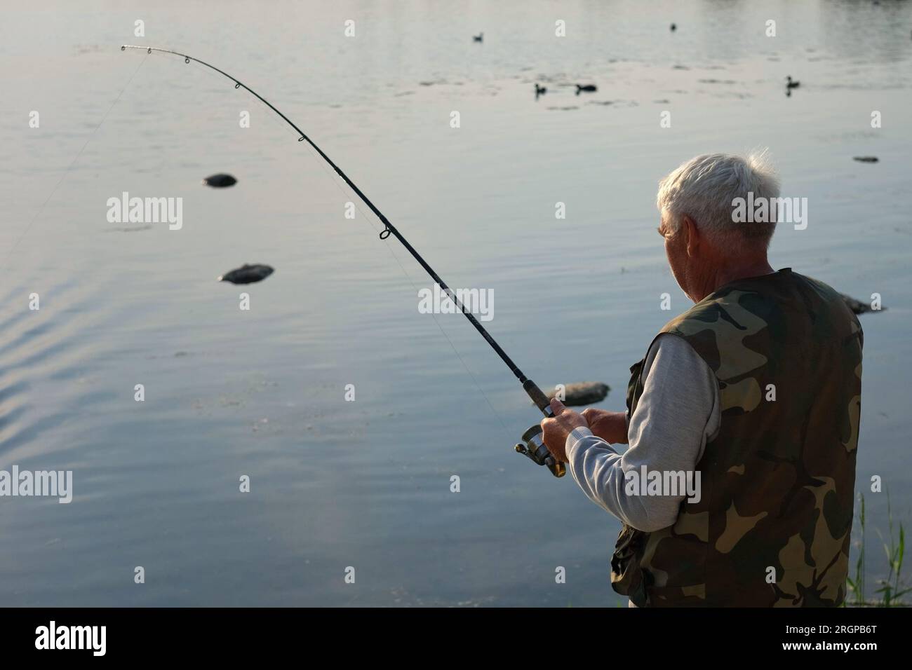 Old man fishing. Senior gray haired fisherman throws a spinning from ...